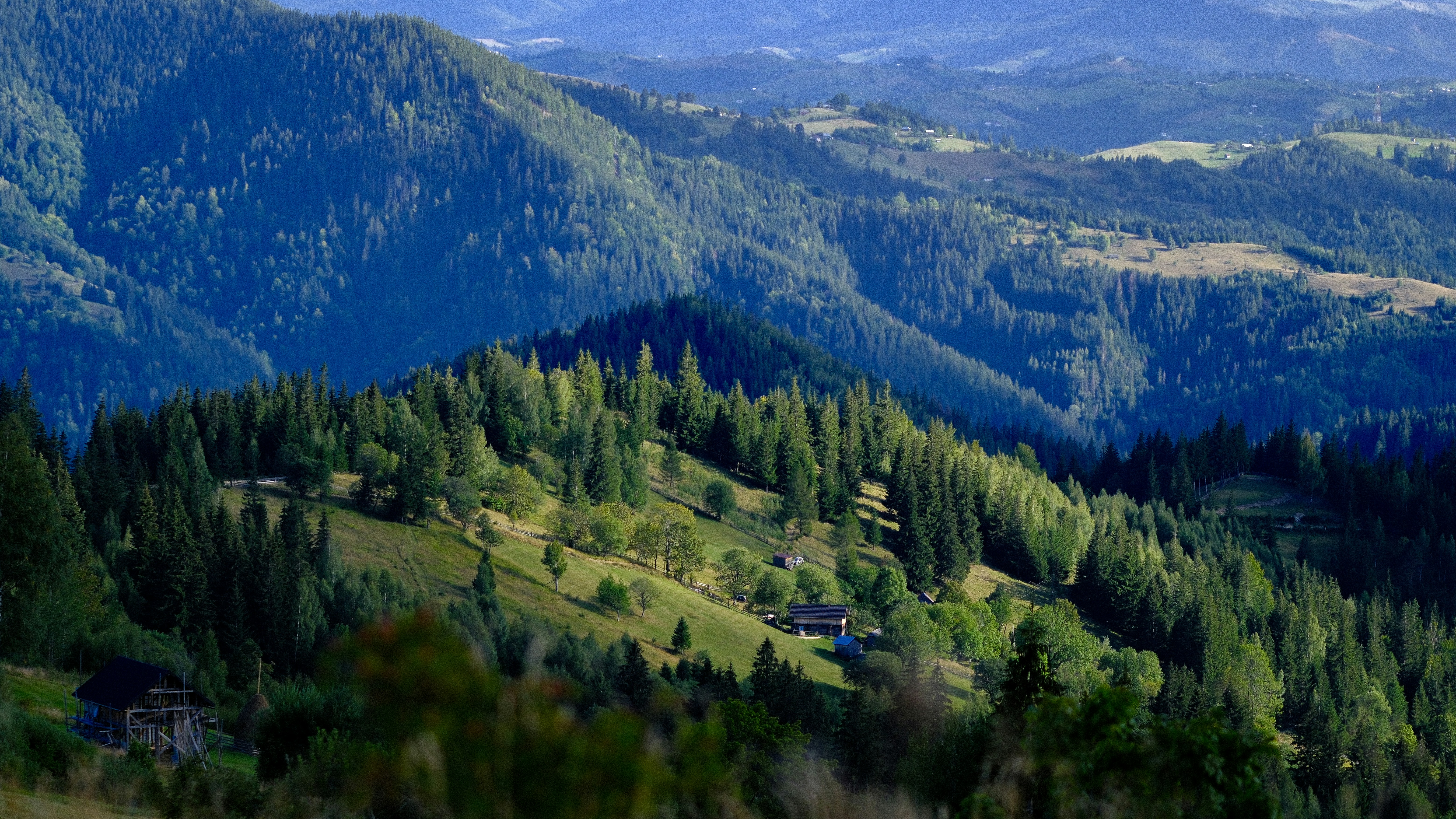 Sunlit Alpine Valleys: A Quiet Village Among Evergreen Slopes