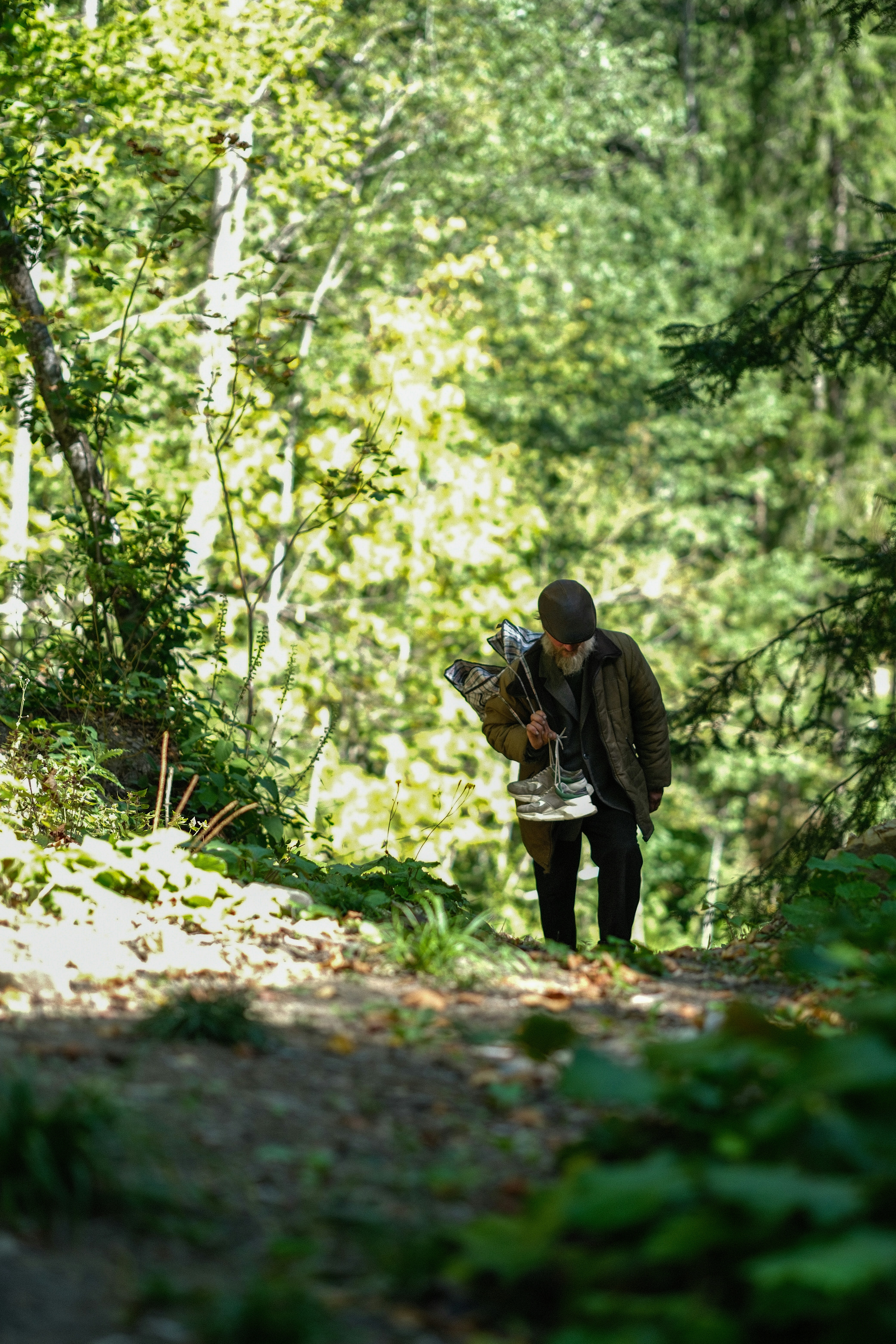 Forest Explorer with Map and Tools