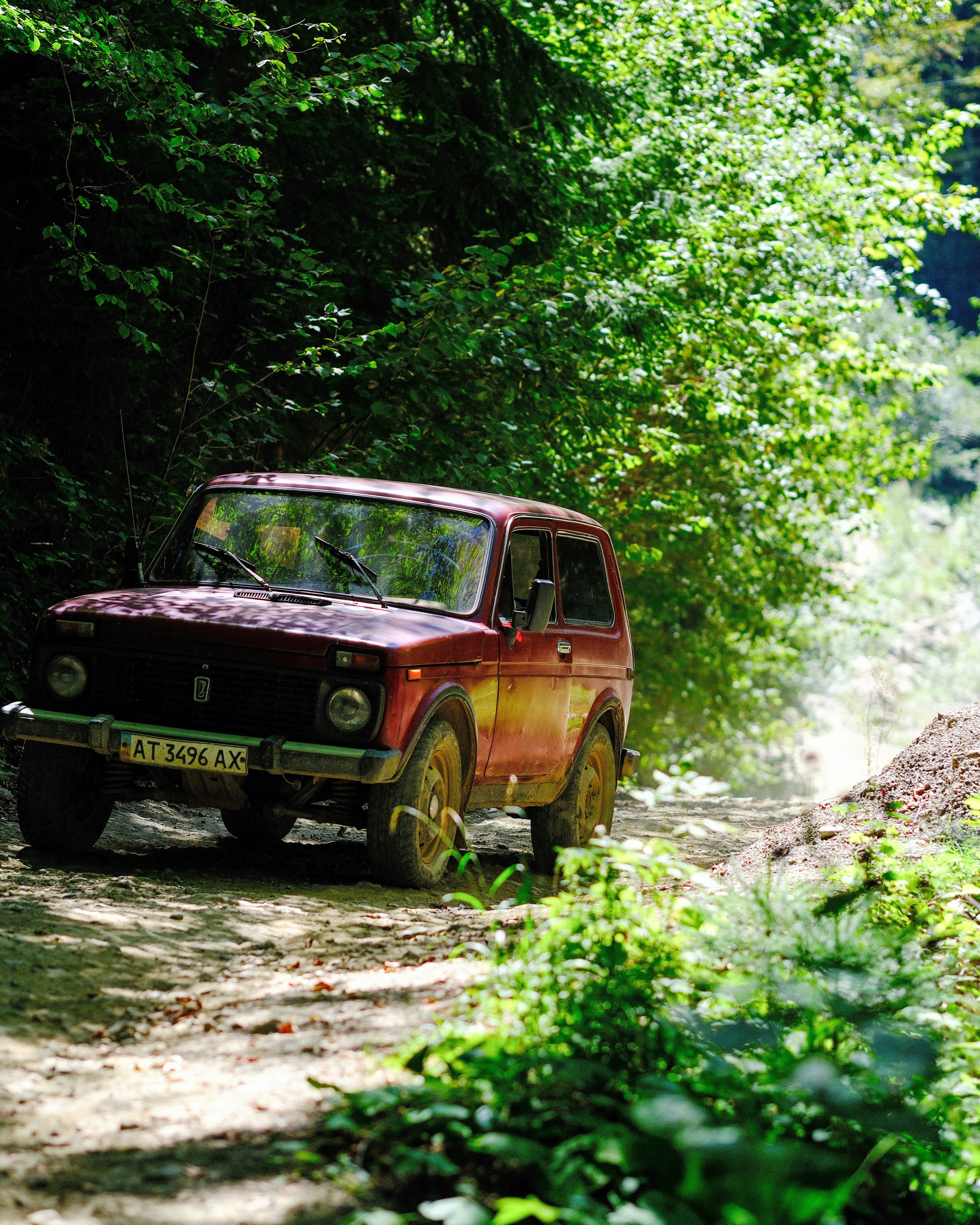 Red Frontier: A Weathered SUV Tumbles Through Dappled Light