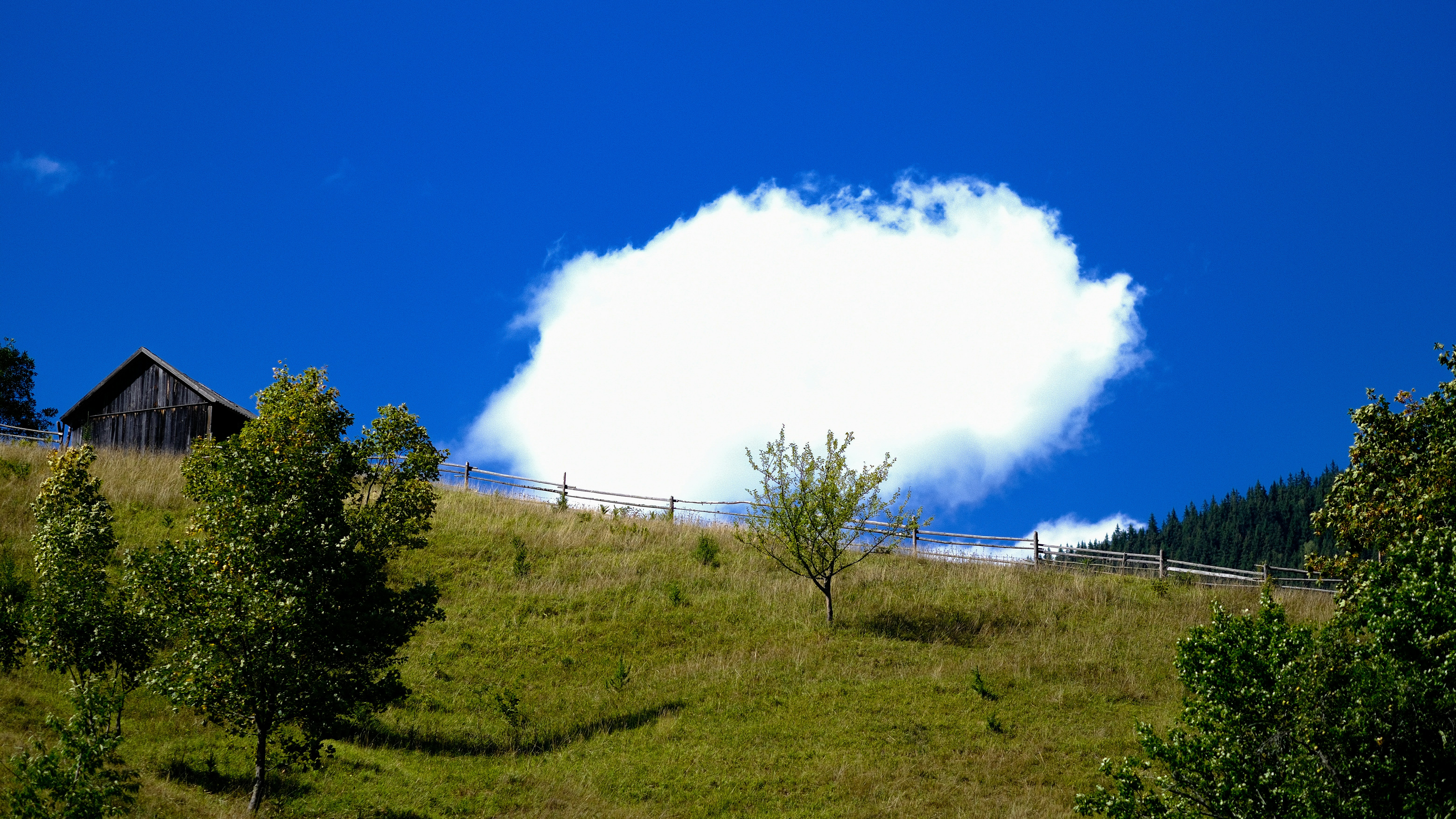 Hilltop Orchard Under a Giant Cloud