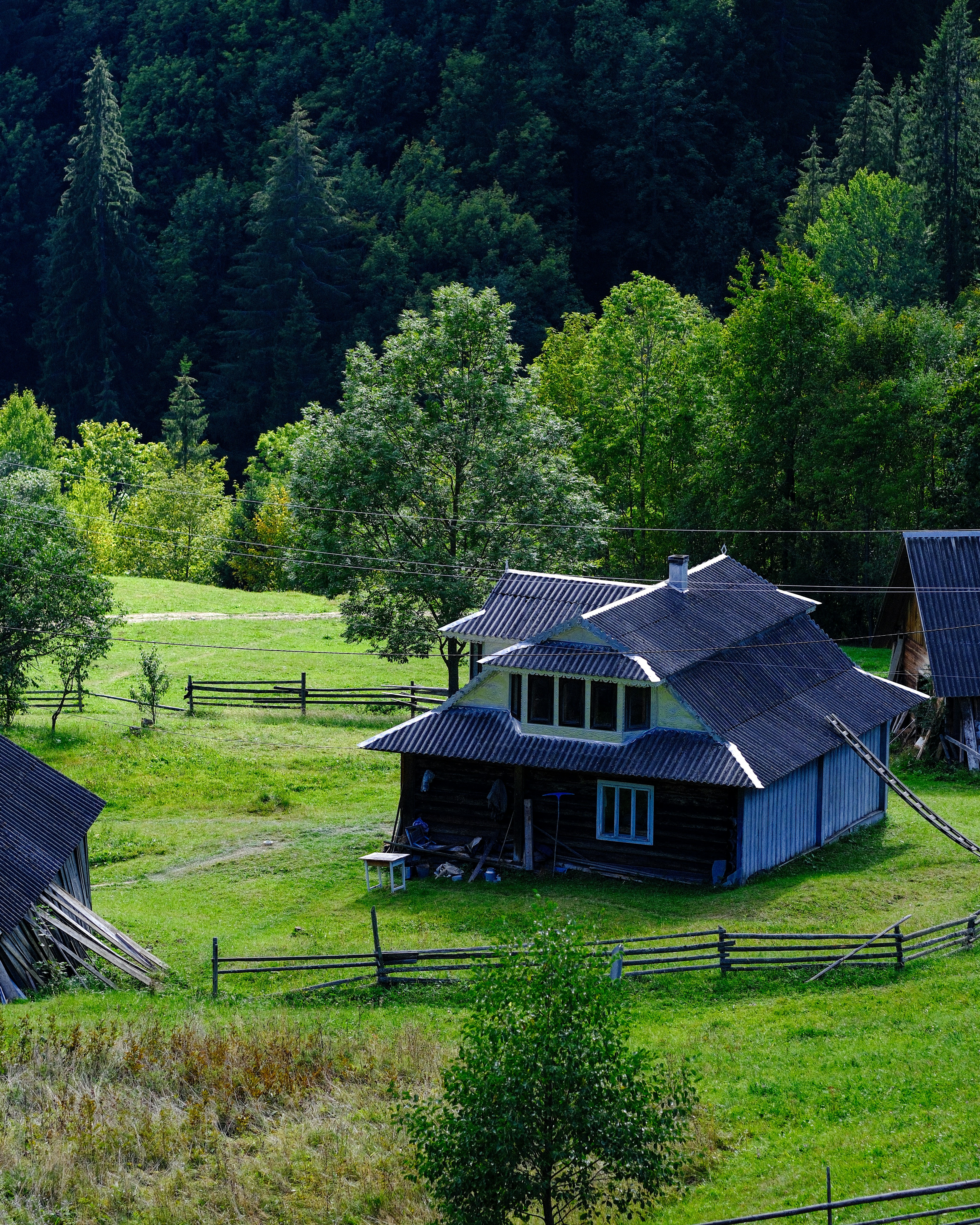 A Weathered Cabin in a Glade of Pines Under a Quiet Forest Sky