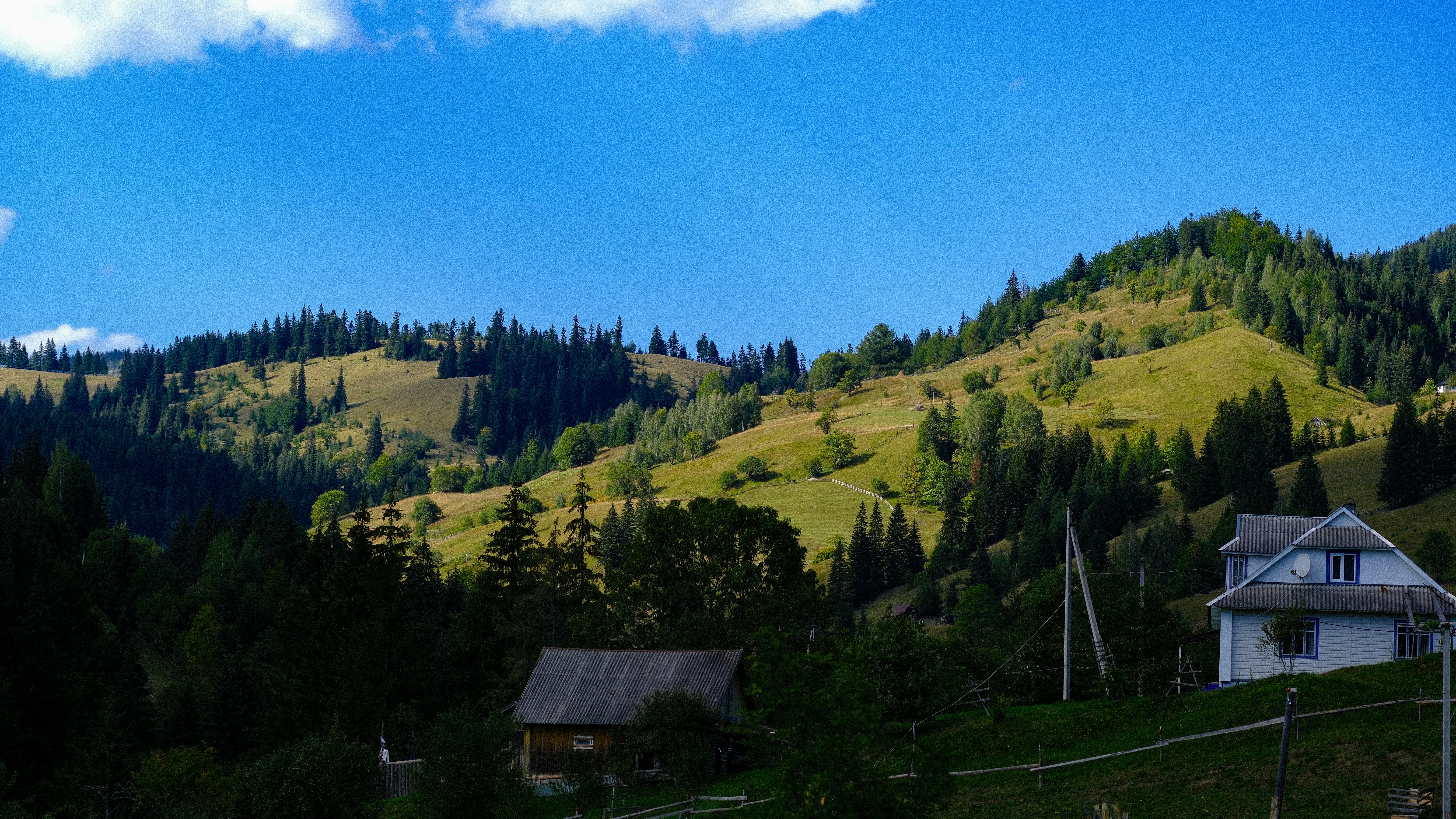 Sunlit Hillside Farm in Alpine Valley