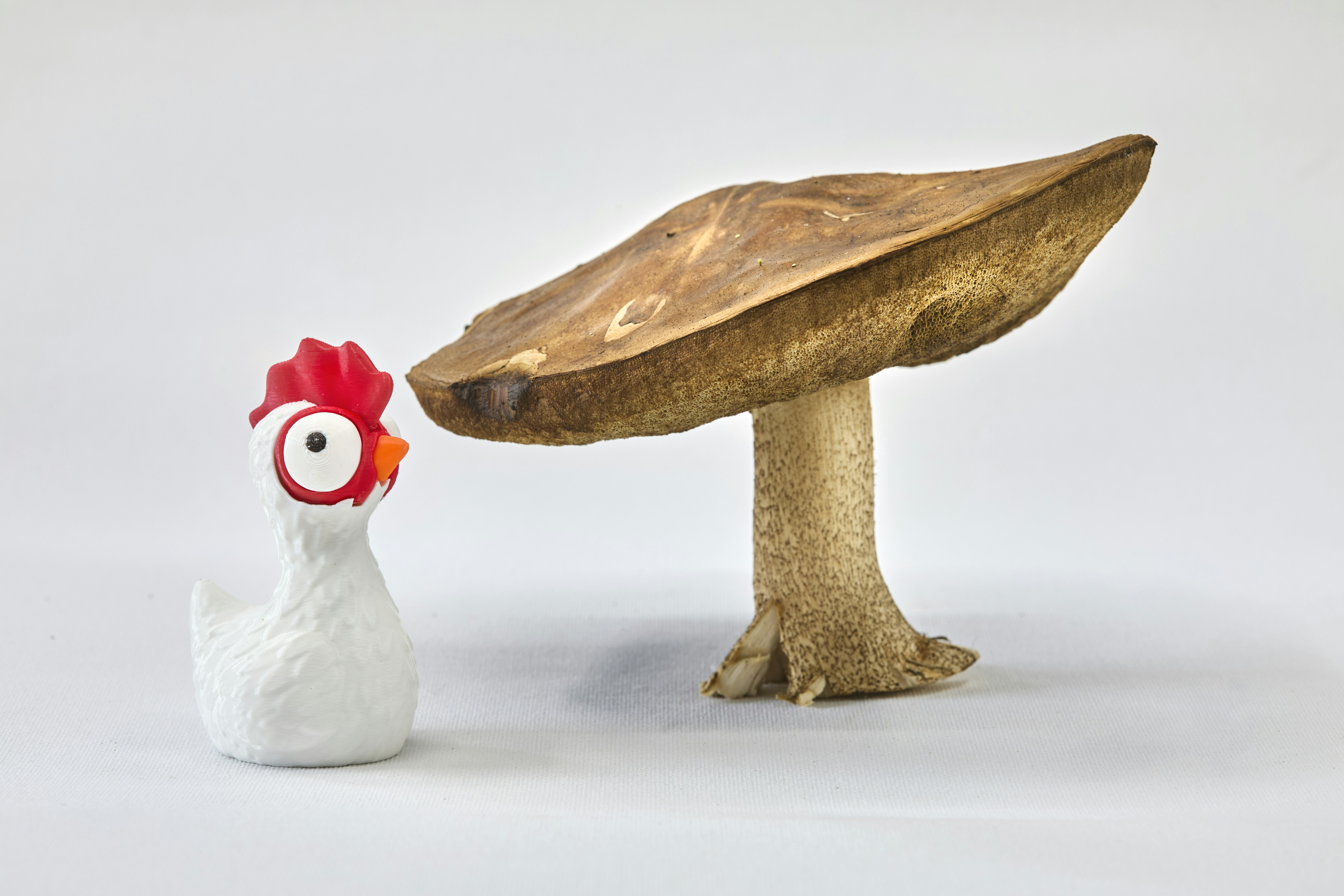 Whimsical Standoff: Micro Rooster Gaze at a Mushroom Giant