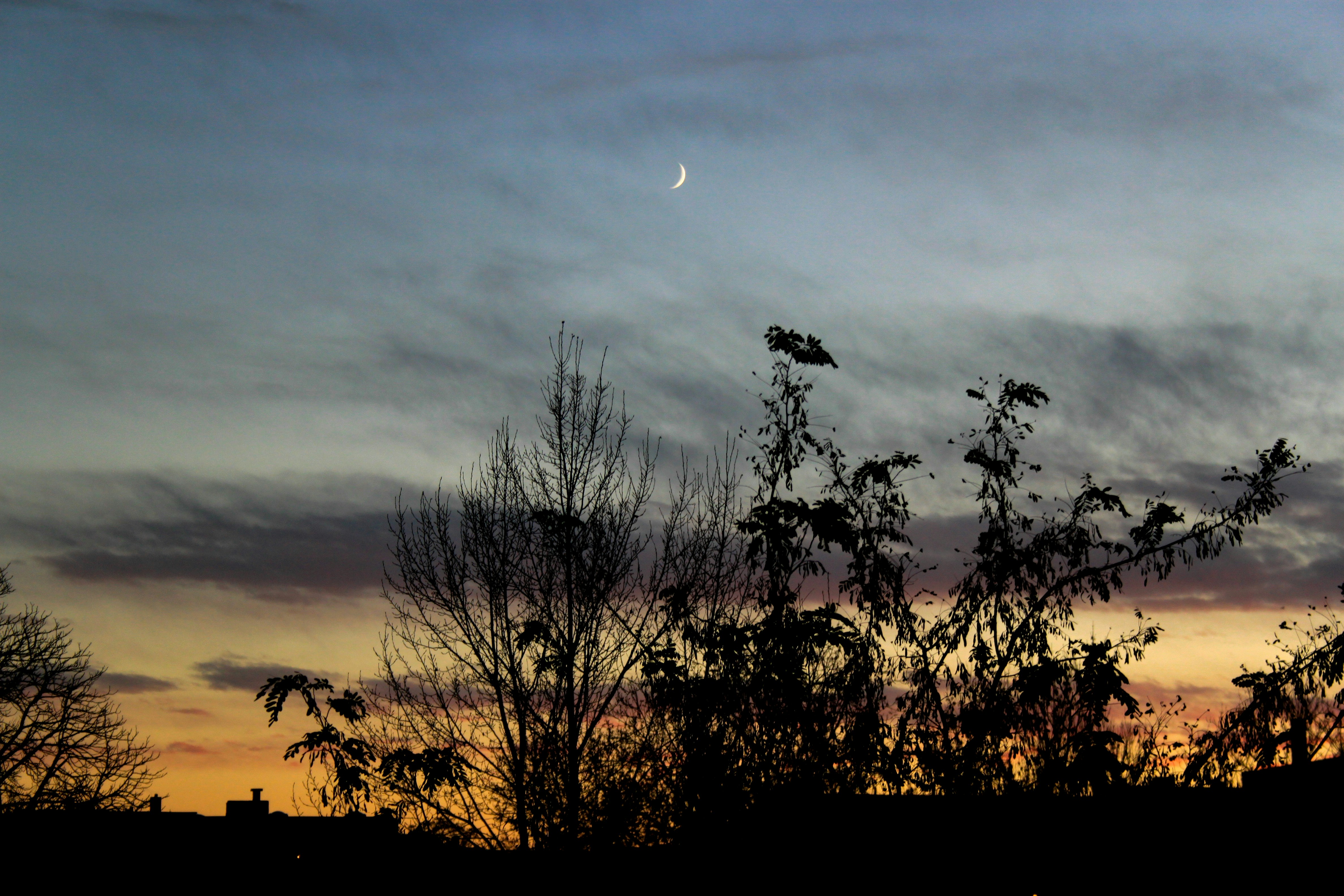 Sundown Silhouette Under a Crescent Moon