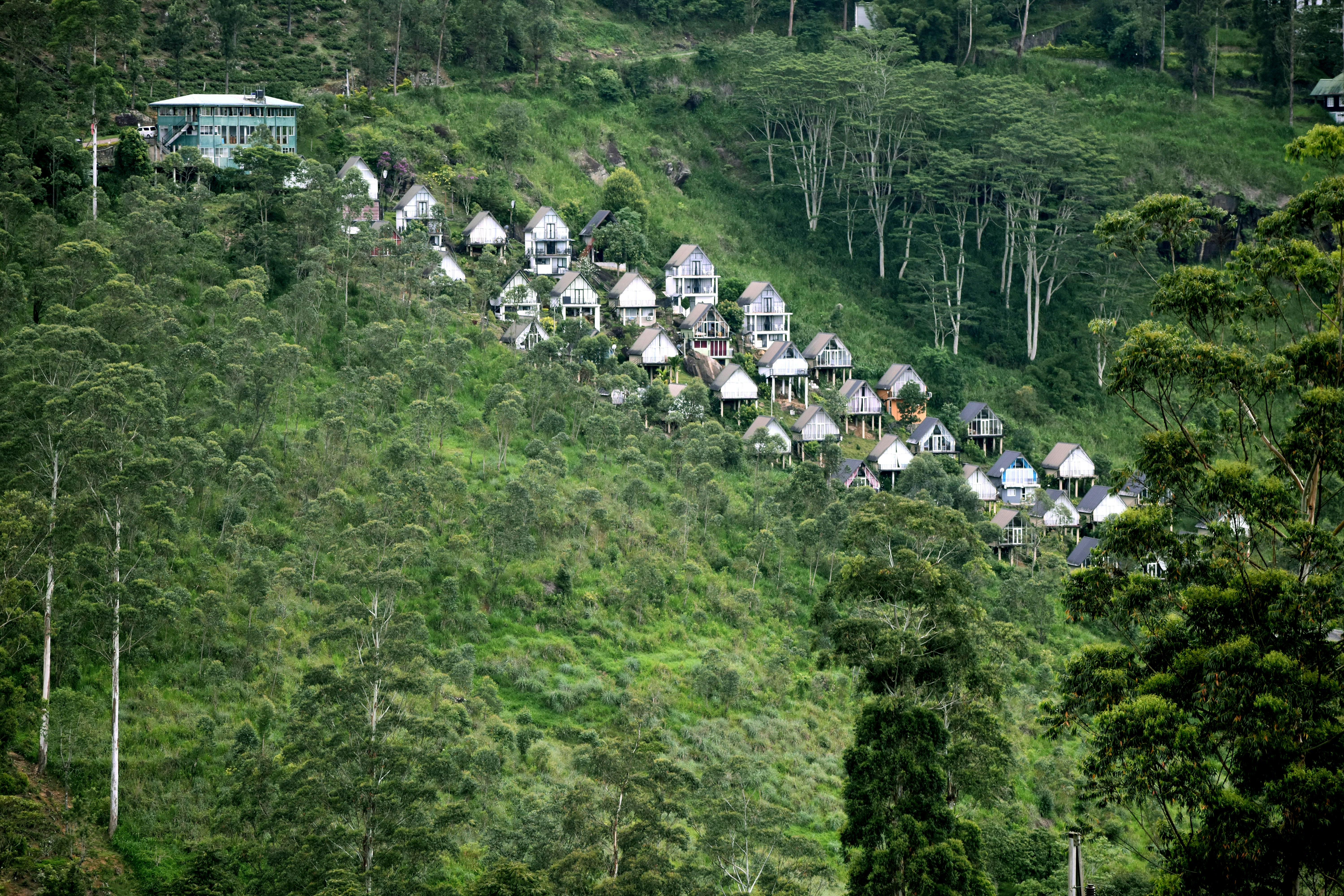 A hillside panorama of small, white A-frame cabins arranged along a steep slope, surrounded by dense forest and a few open clearings.