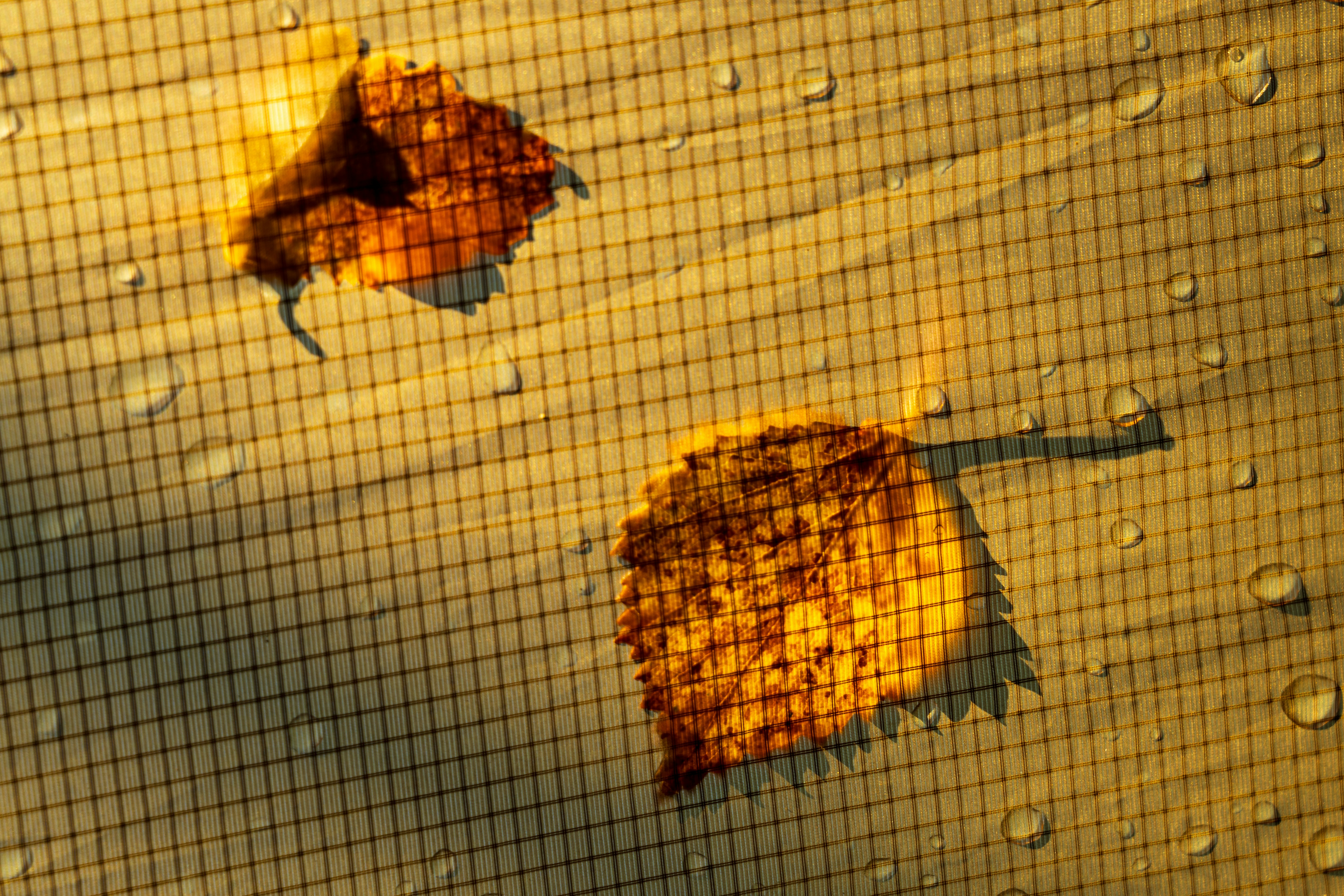 Grid-lined Labyrinth: A Closer Look at a Reflective Mesh and Warm Lamp Fragment