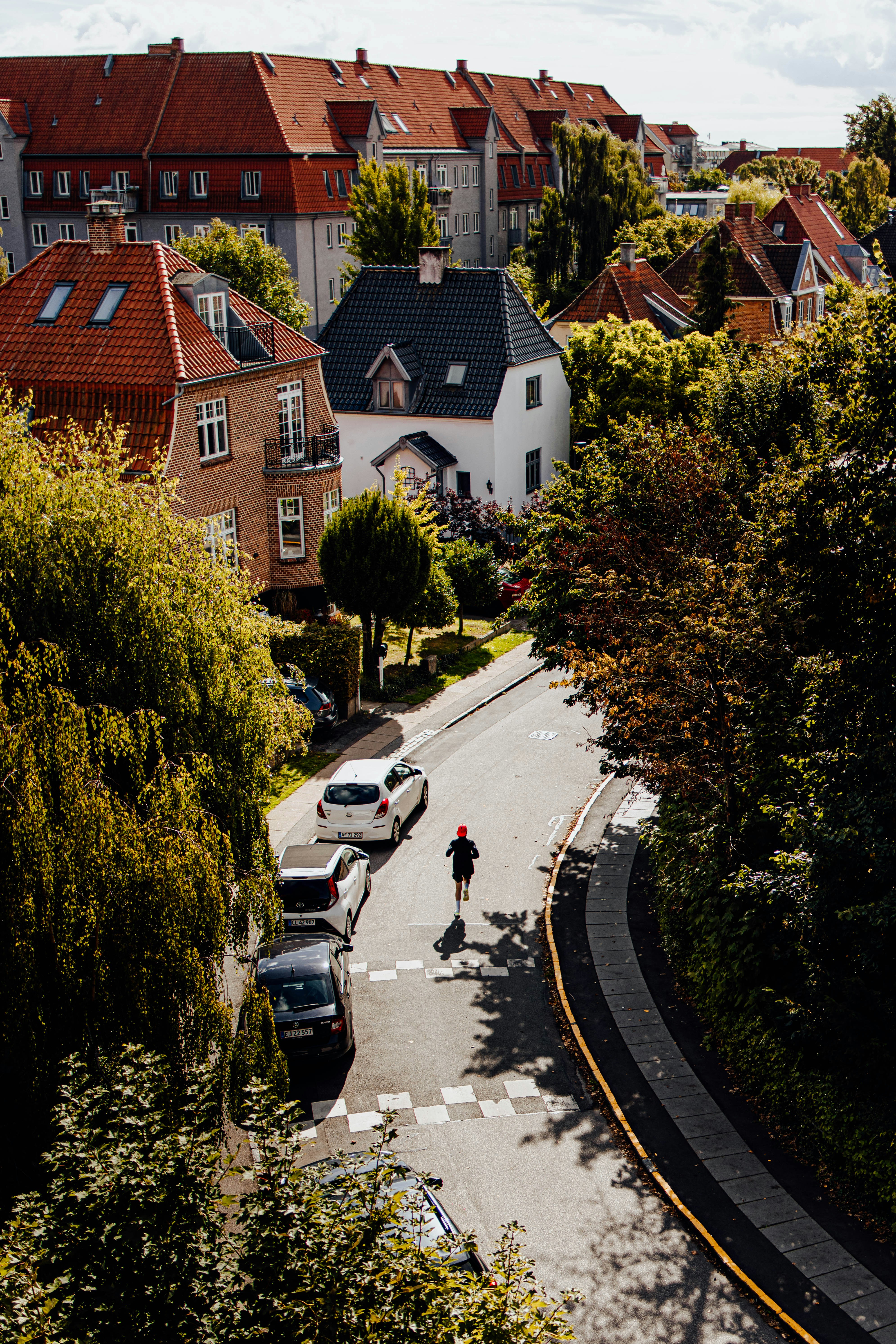 Sunlit Nordic Avenue: A Quiet Descent Between Townhouse Choirs
