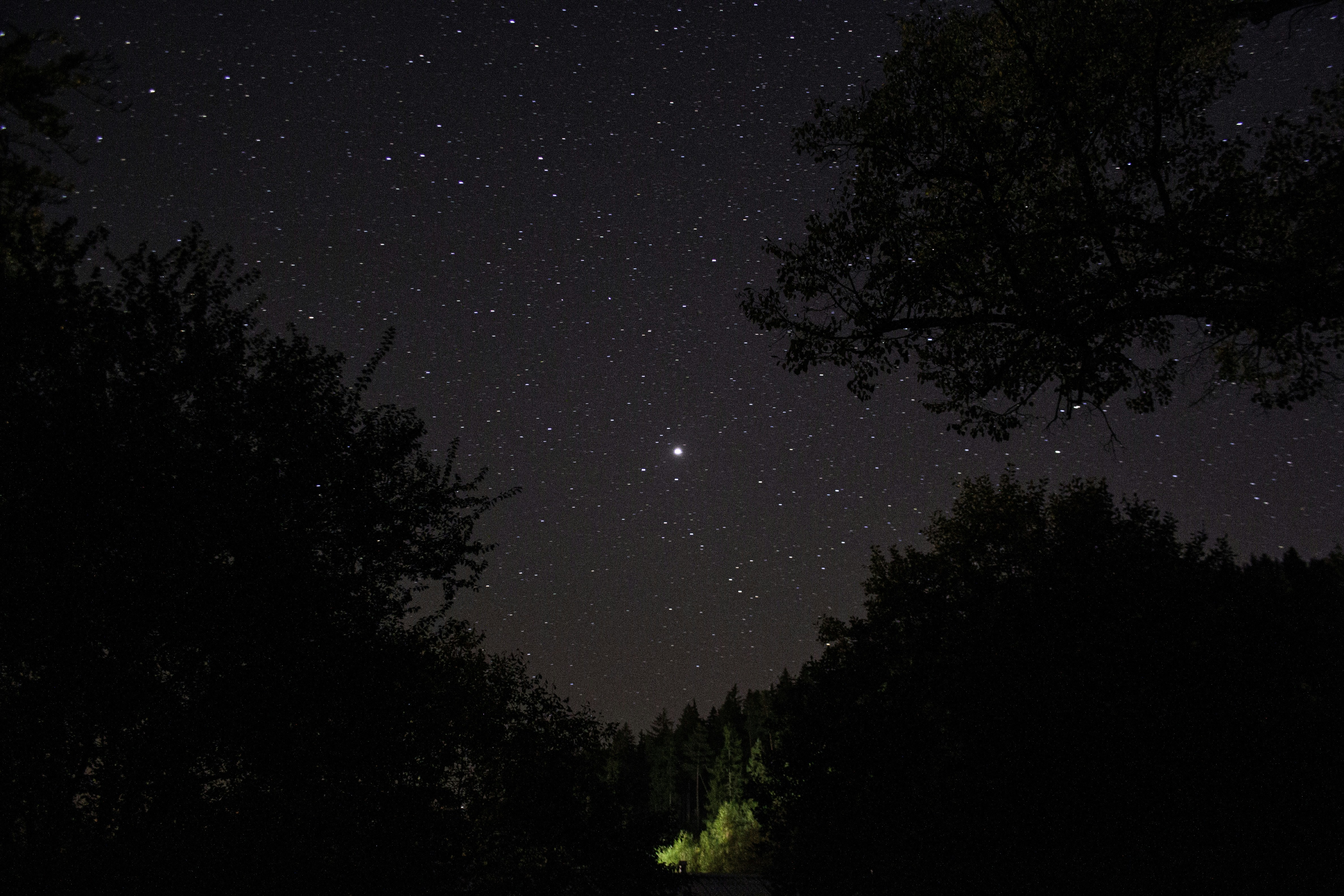 Stellar Quiet: A Lanterned Clearing Beneath the Milky Way