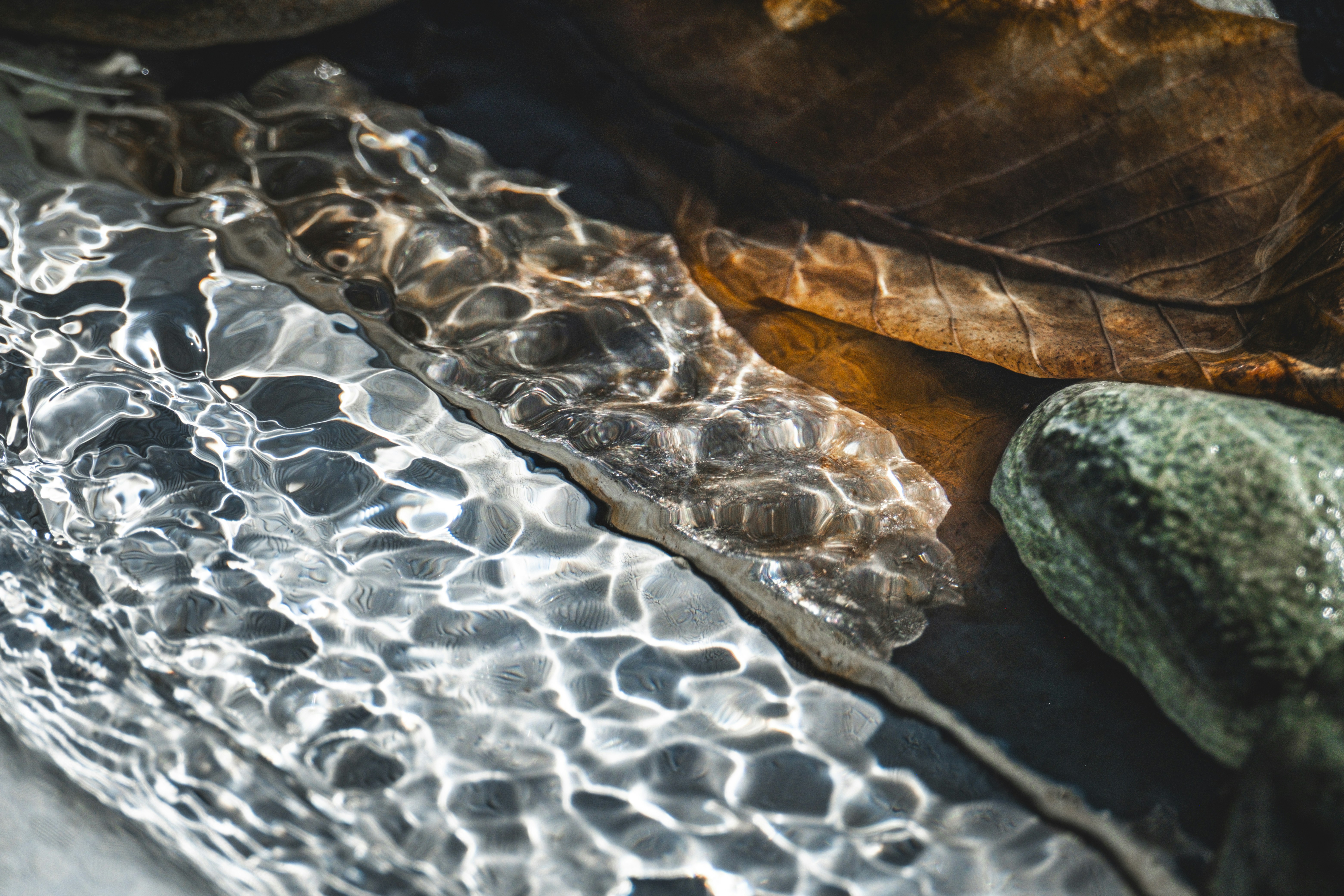 Liquid Light on River Stones: A Close-Up of Wet Leaves and Pebbles
