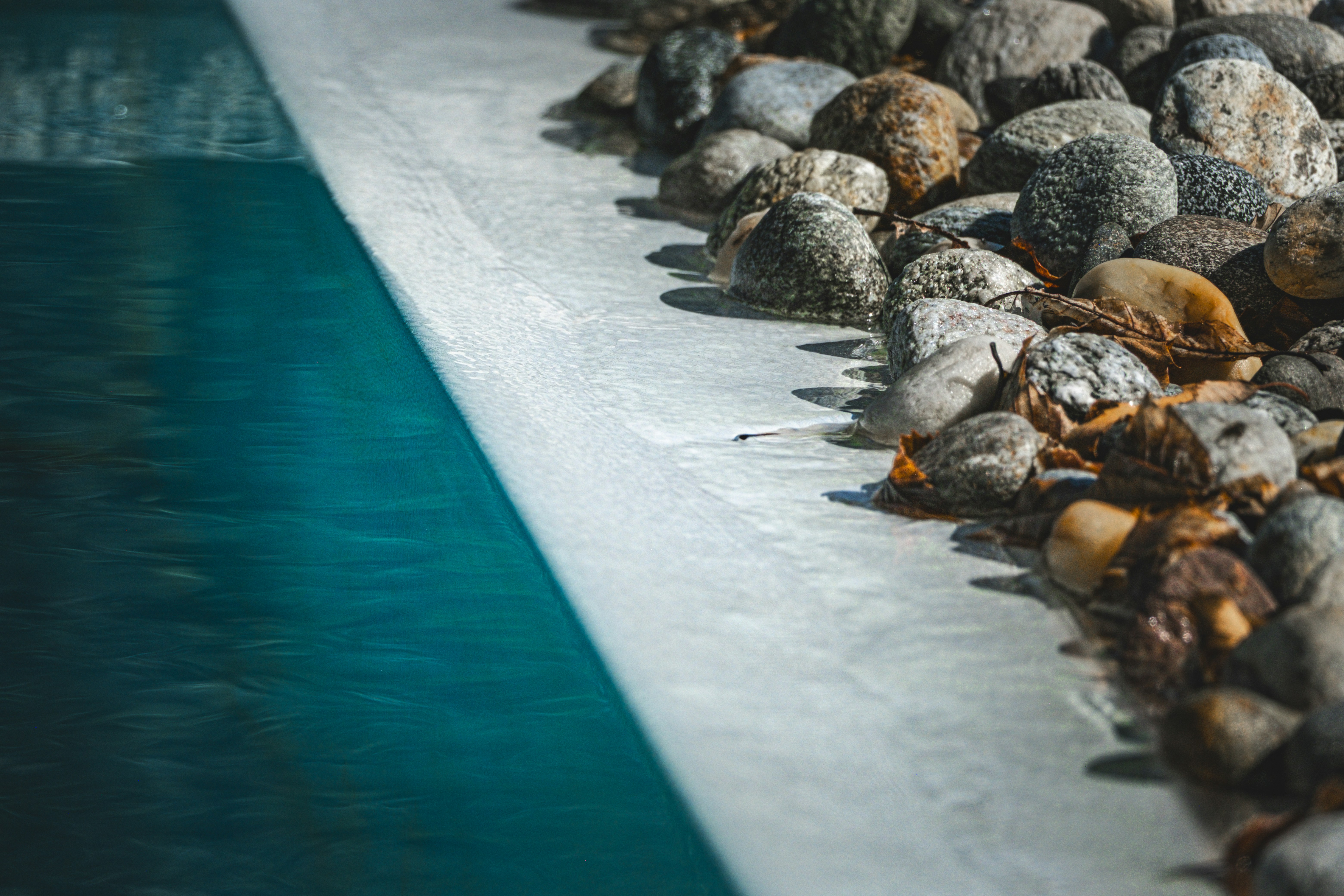 Pebbles by the Pool: Contrasting textures along a sunlit edge