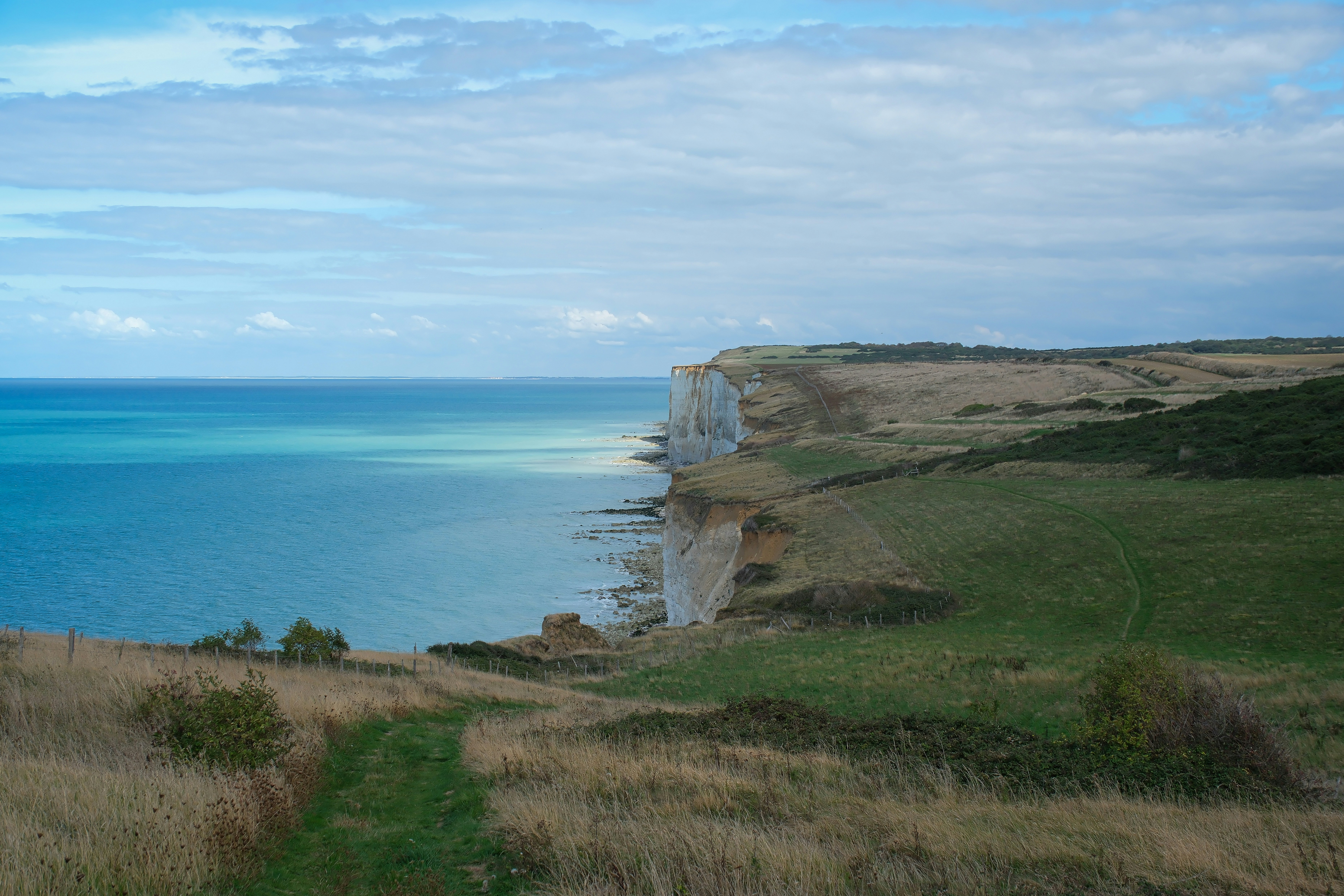 A striking view of the Alabaster Coast in Normandy, where bright white chalk cliffs rise above deep blue water. A narrow path leads through the grassy fields toward the edge, creating a sense of openness and quiet drama.