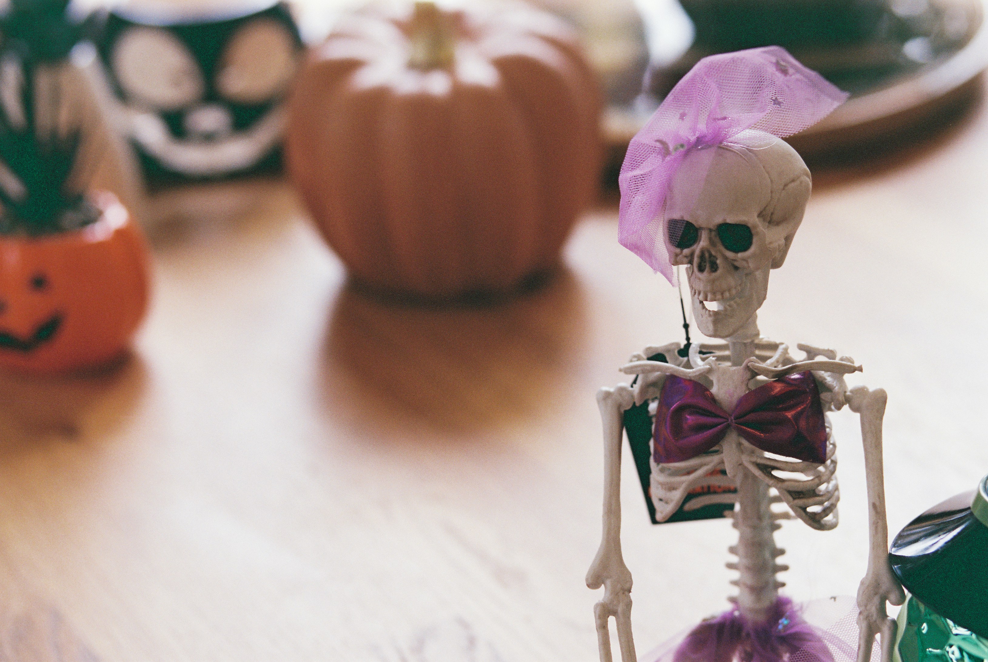 Skeleton in Focus: A Halloween Scene with Pumpkin Friends