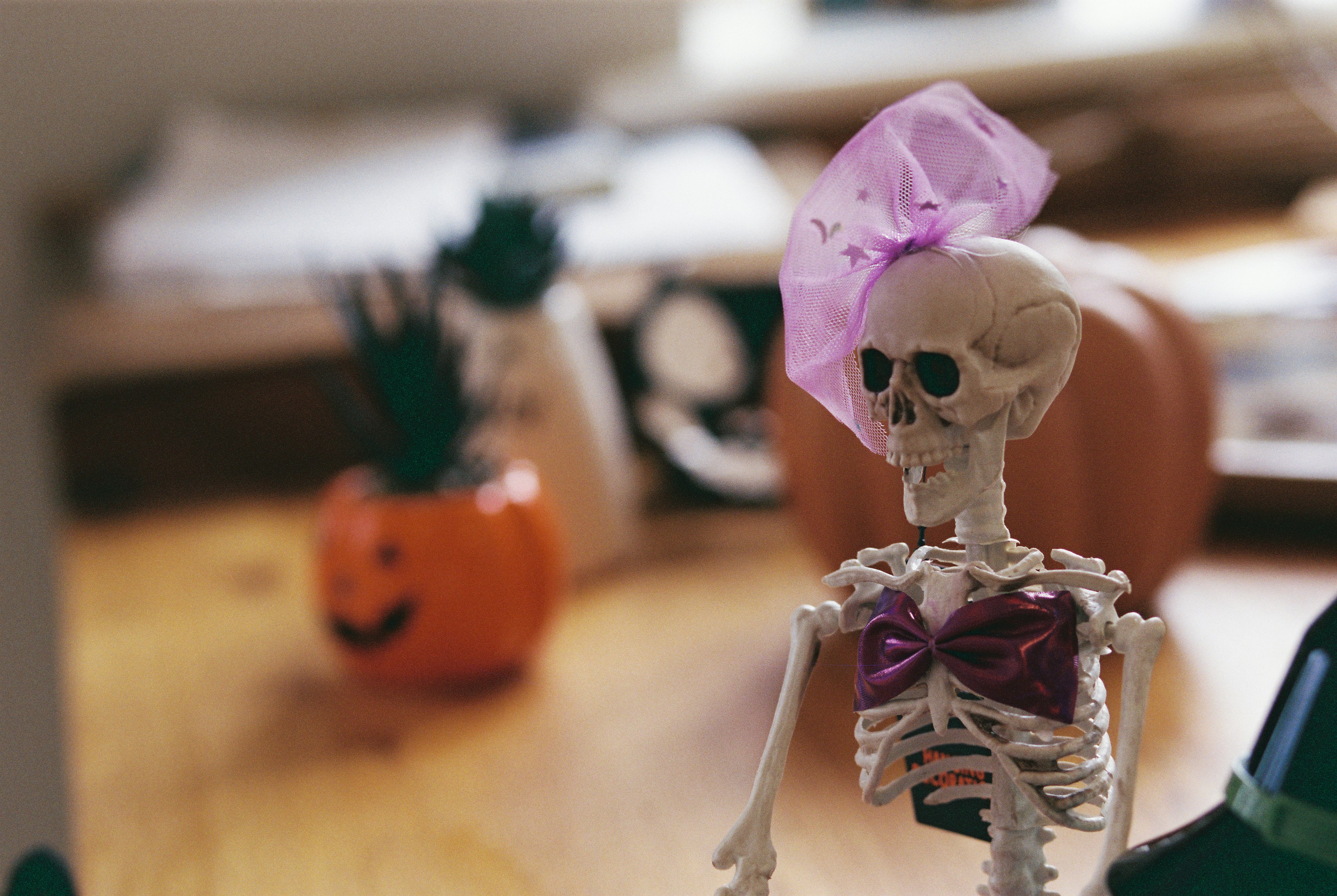 Skeleton with Pink Tulle Hat Stands Amid Toy Workshop Props