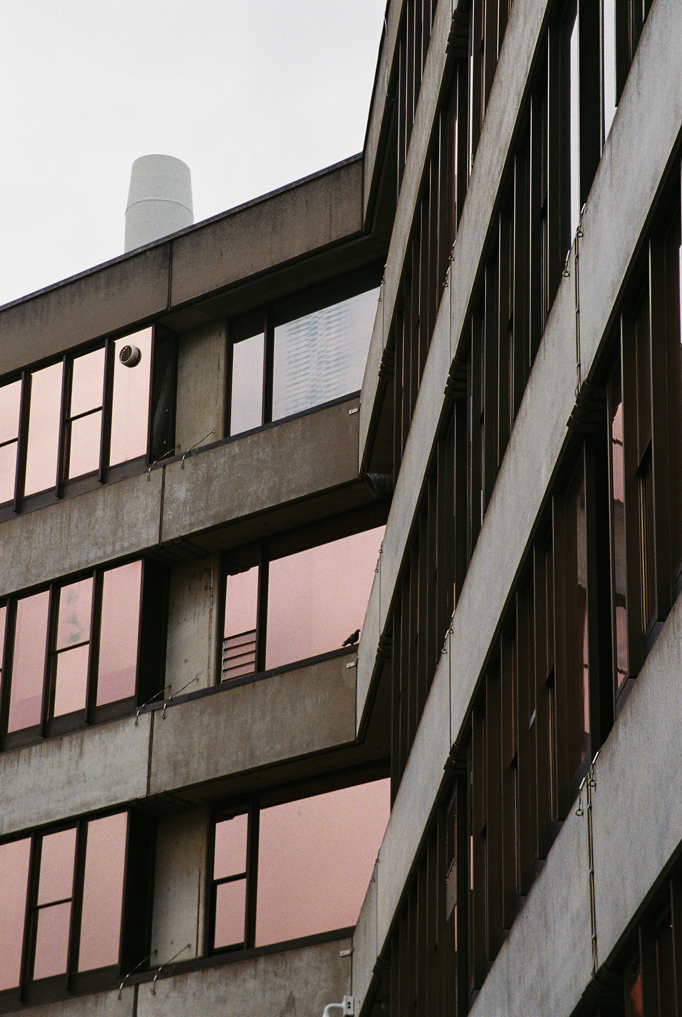 Facade Lines: A Tilted City Rain of Windows