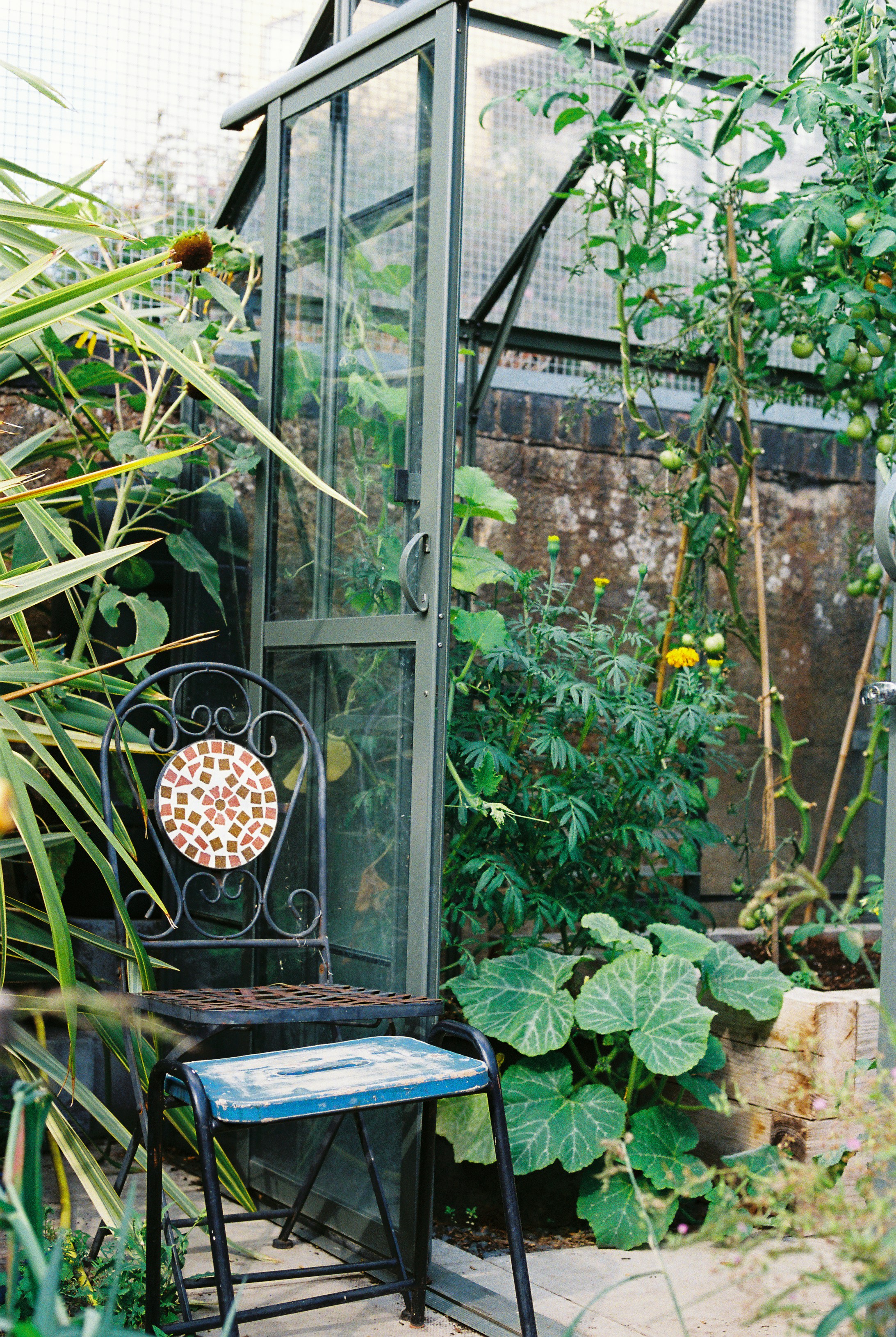 Sunlit greenhouse doorway framed by lush greenery and a lone blue-stained chair