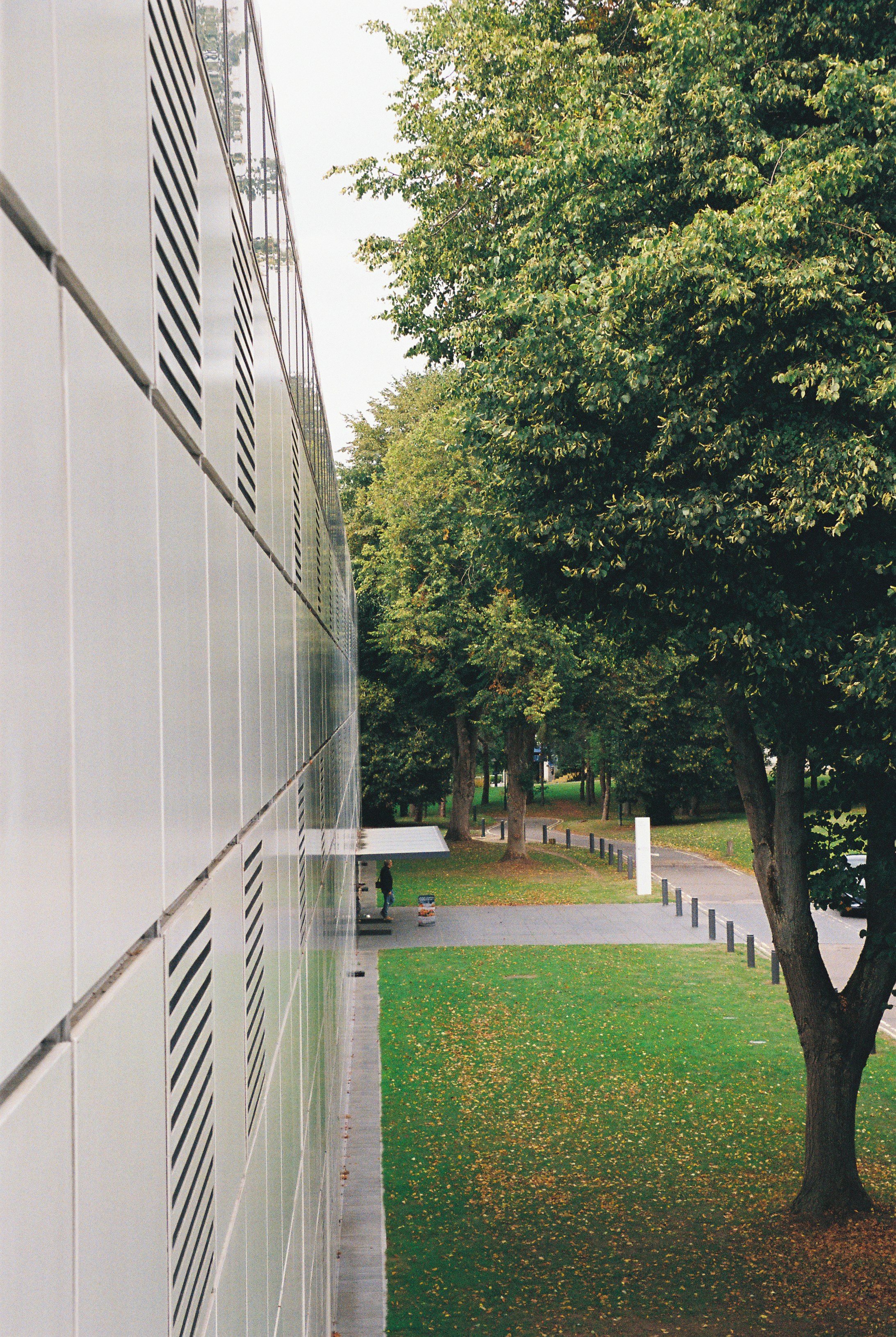 Fallen leaves scatter a mown lawn beneath mature trees beside the reflective cladding of a university building.