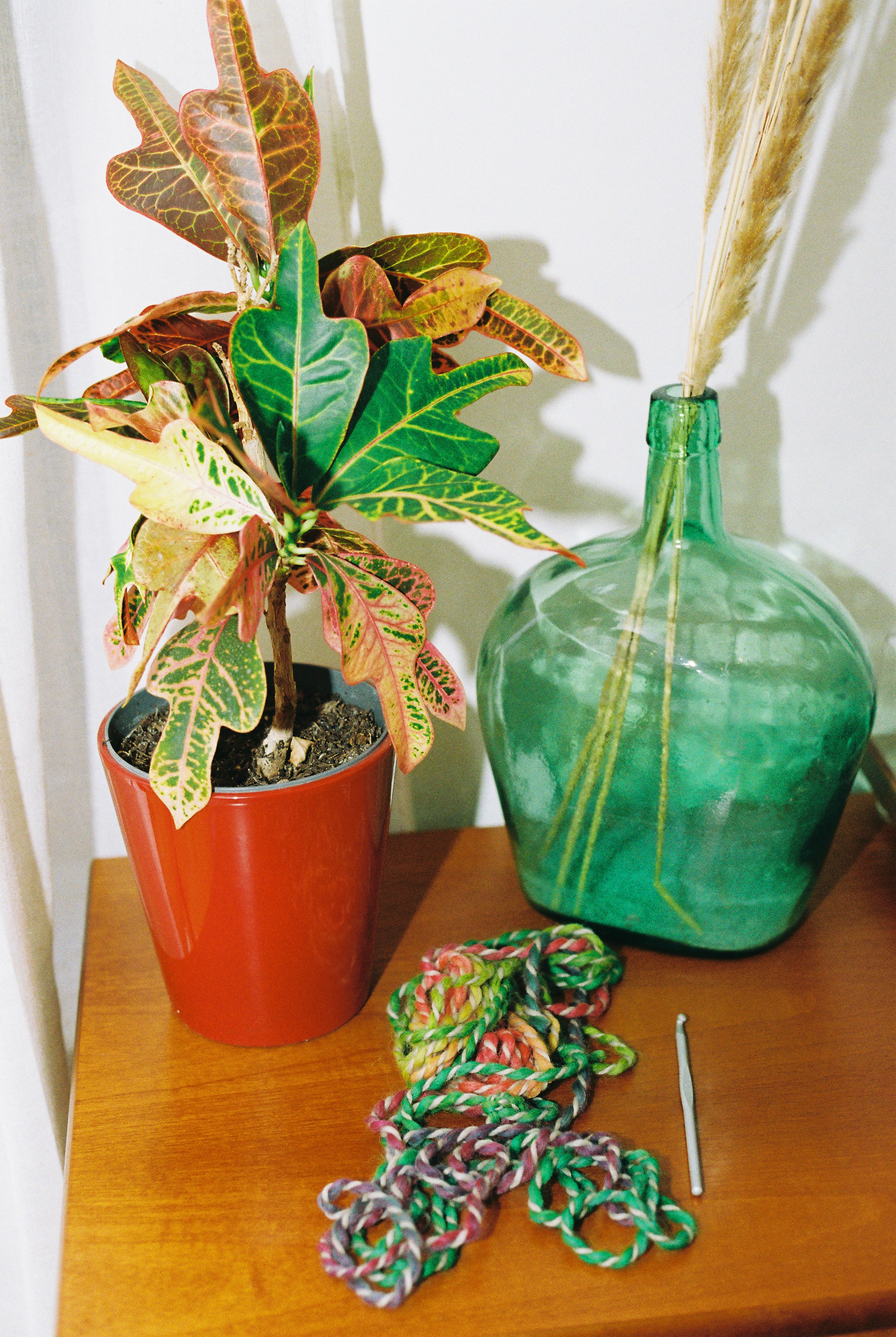 Green-glass Vase and Croton Plant on a Wooden Table