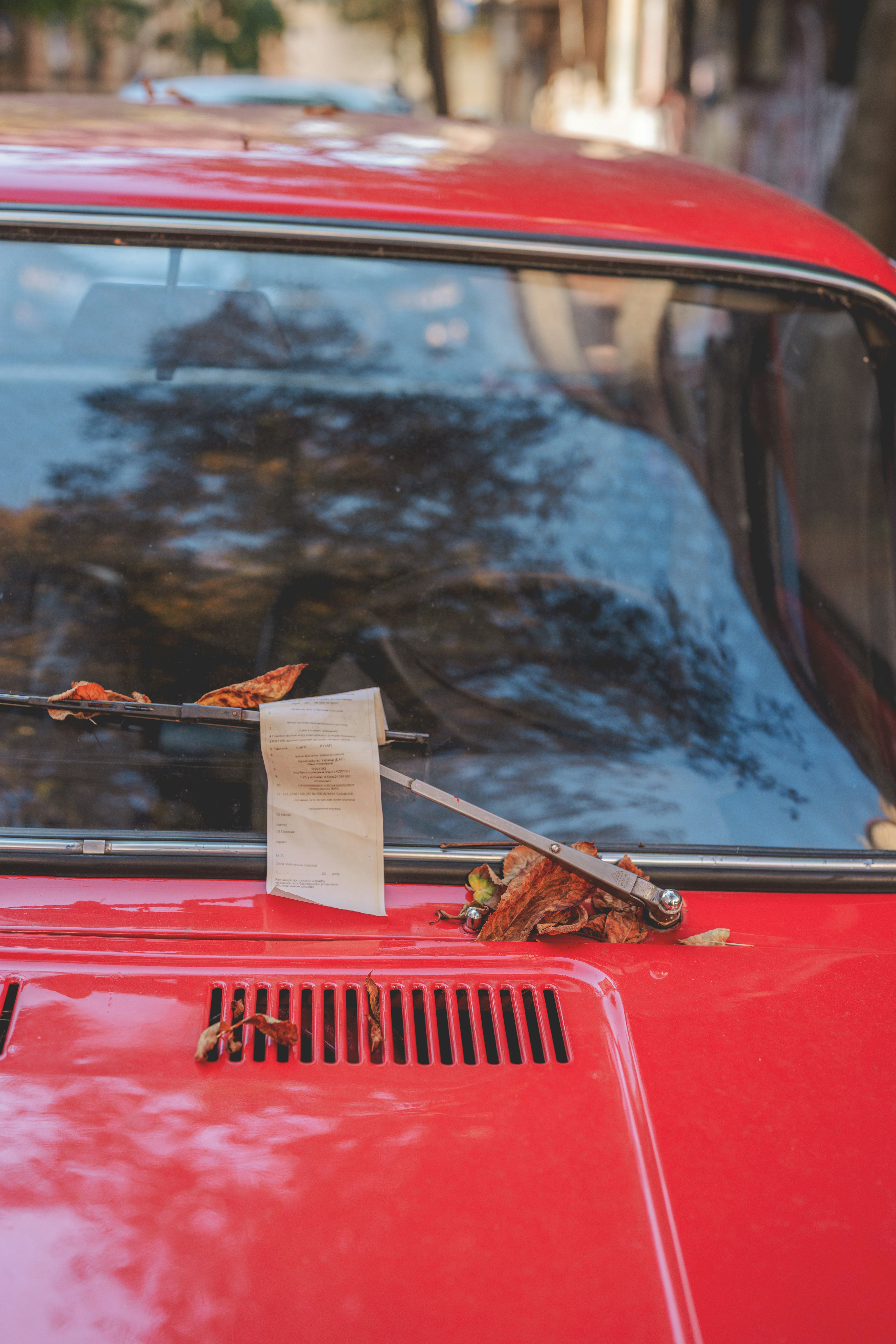 Red Vintage Hood Quietly Anchored by a Leaf-Littered Wiper
