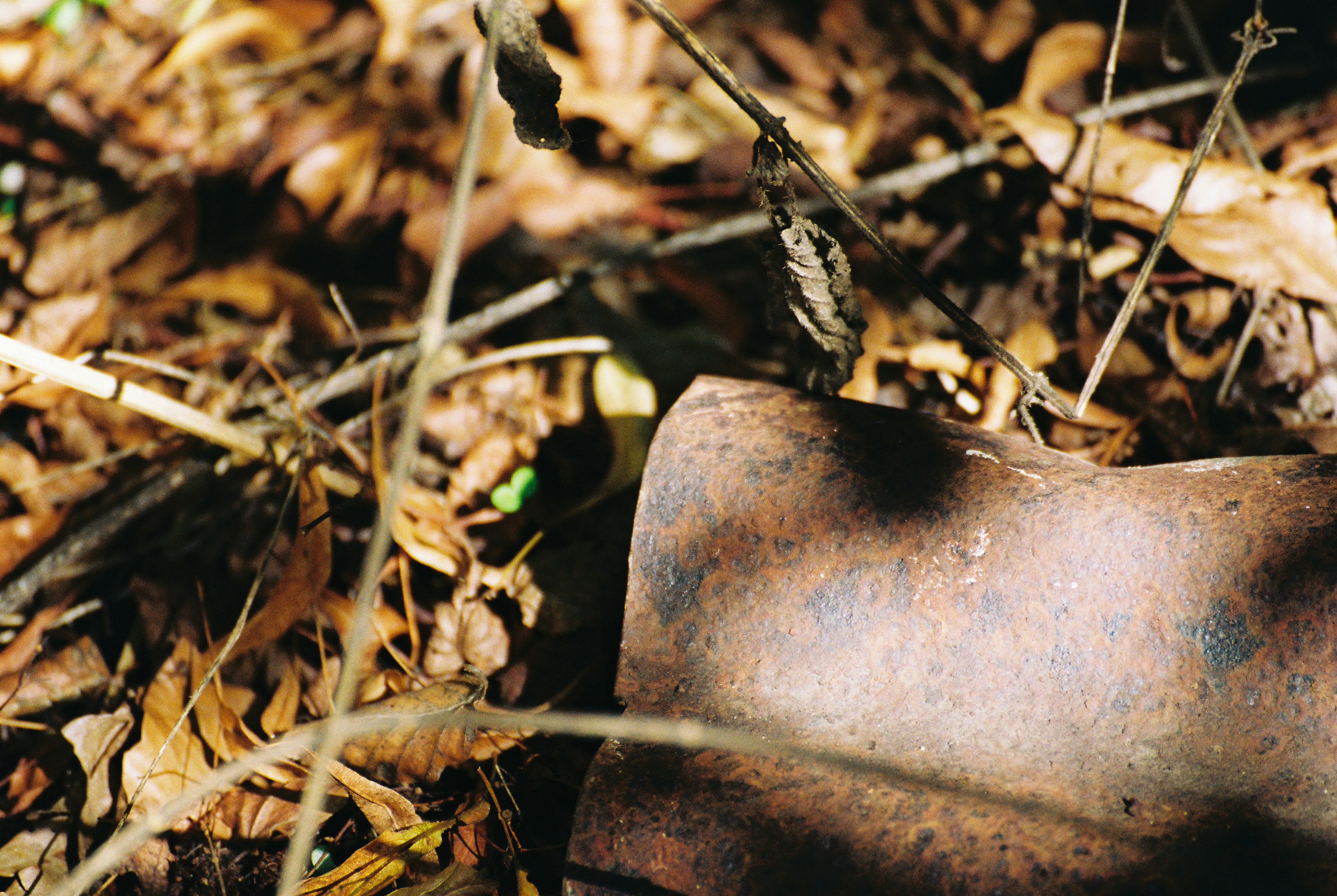Rust and Roots: An Outdoor Relic Partially Buried in Fallen Leaves