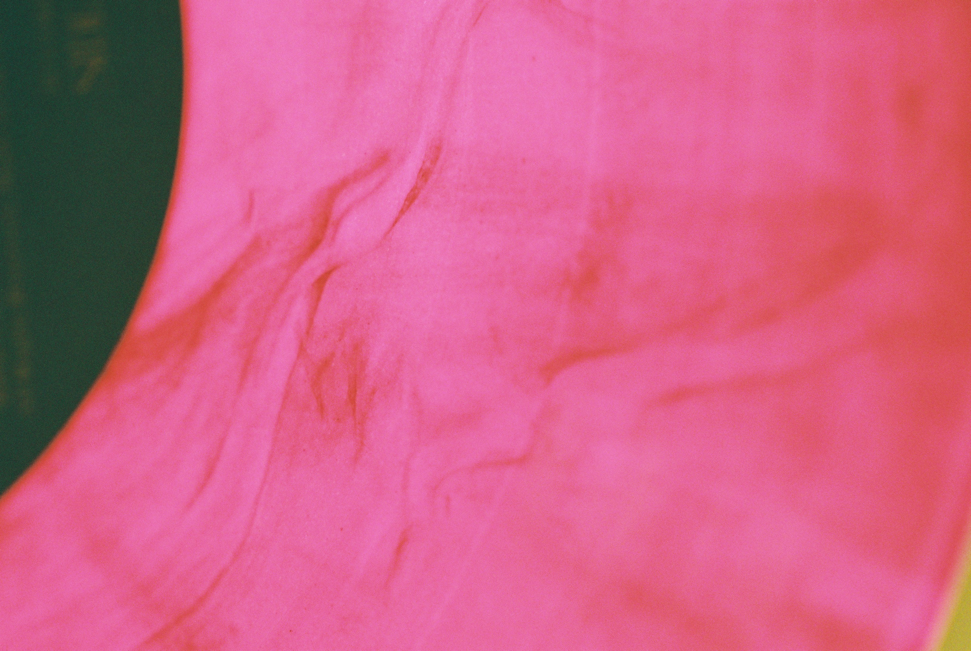Macro shot highlighting the vivid pink velvet-like petal texture with subtle green background hints. A close-up composition focusing on surface details and color without identifiable subject.