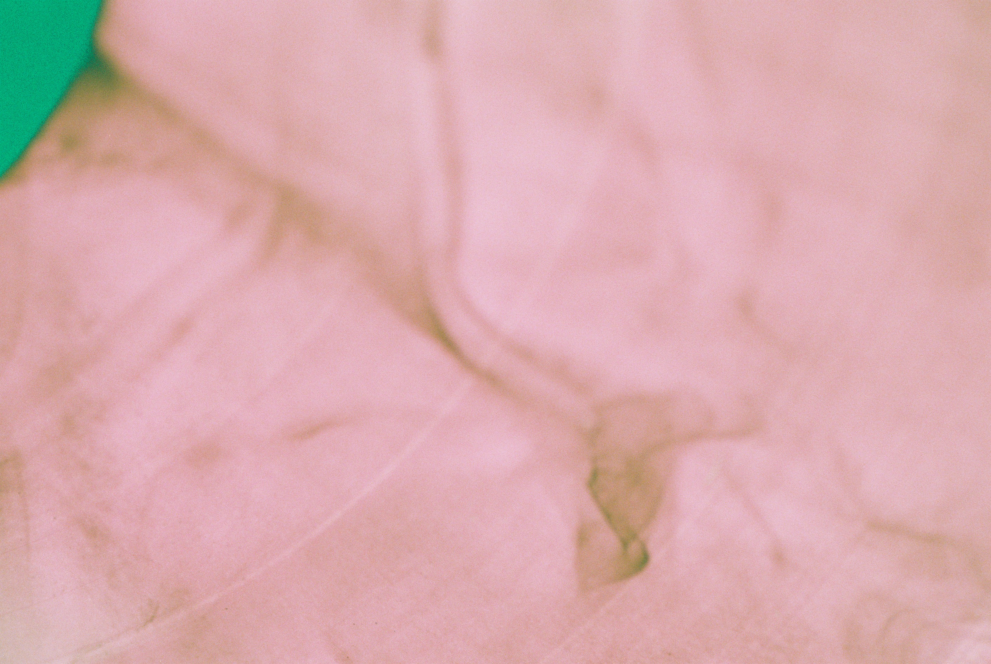 Soft Petal Skin: Abstract Peach-Tinted Texture Close-Up