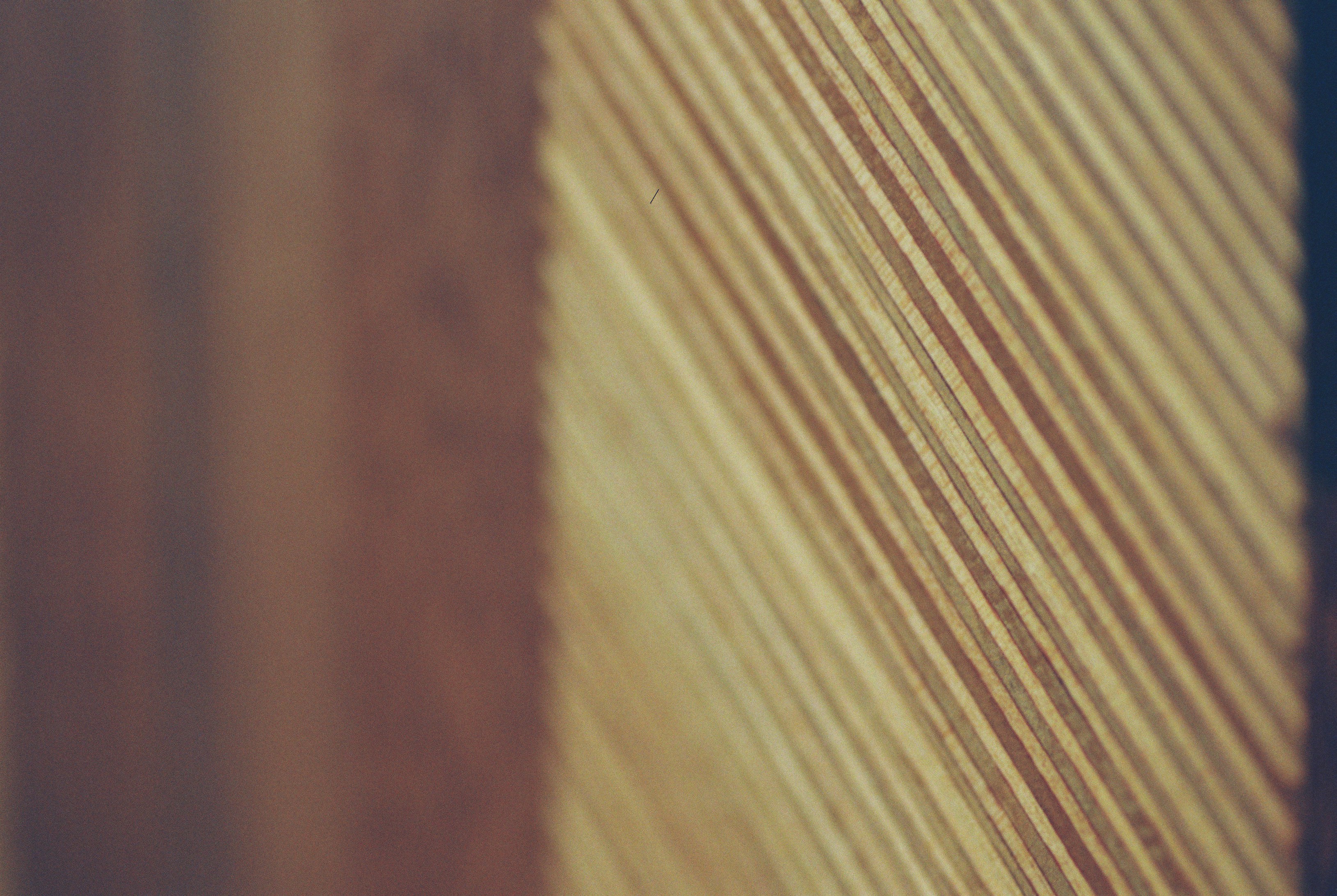 Striated Wood: A Close-Up of Parallel Grain Lines