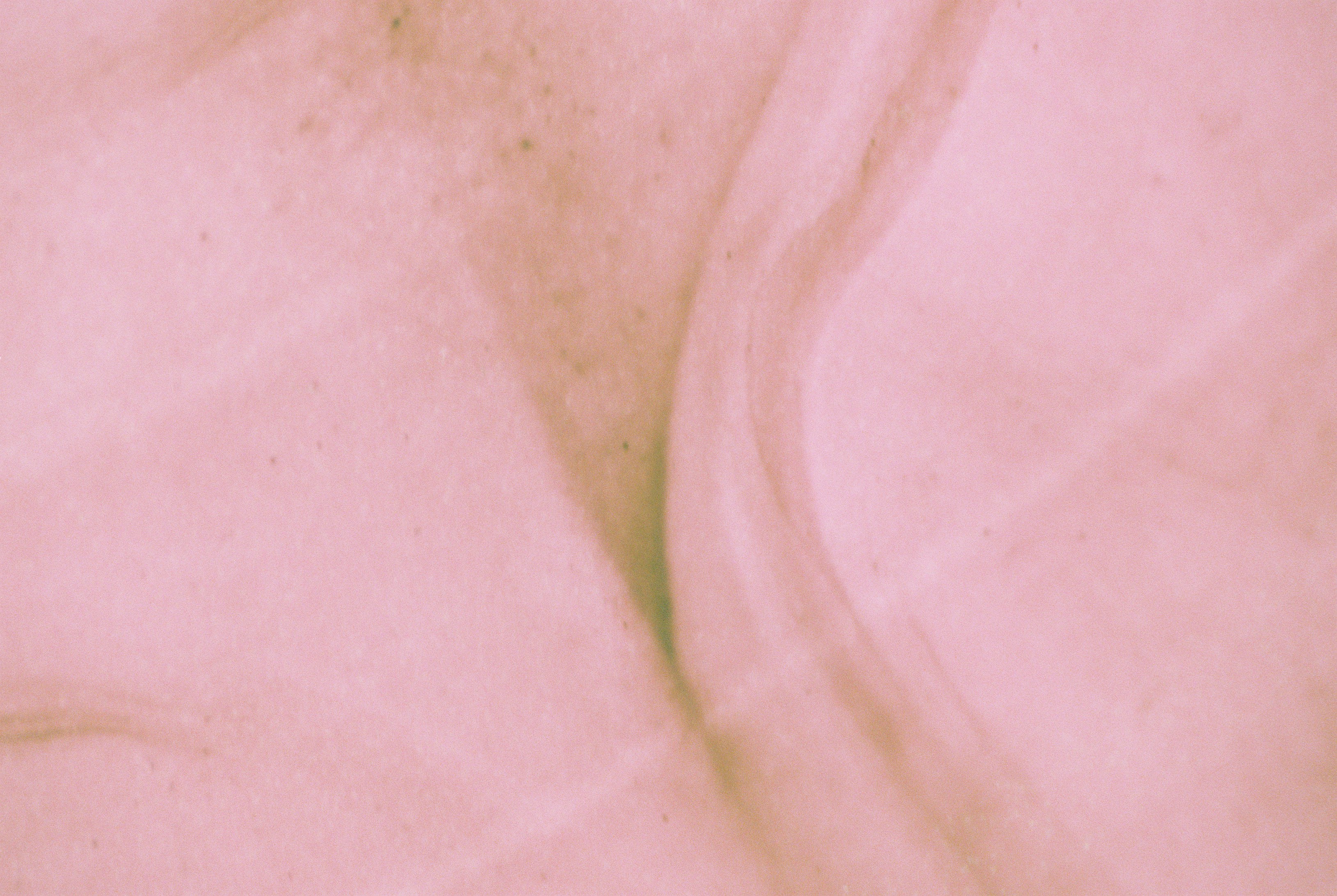 Soft Tide of Pink: A Subtle Abstract Texture