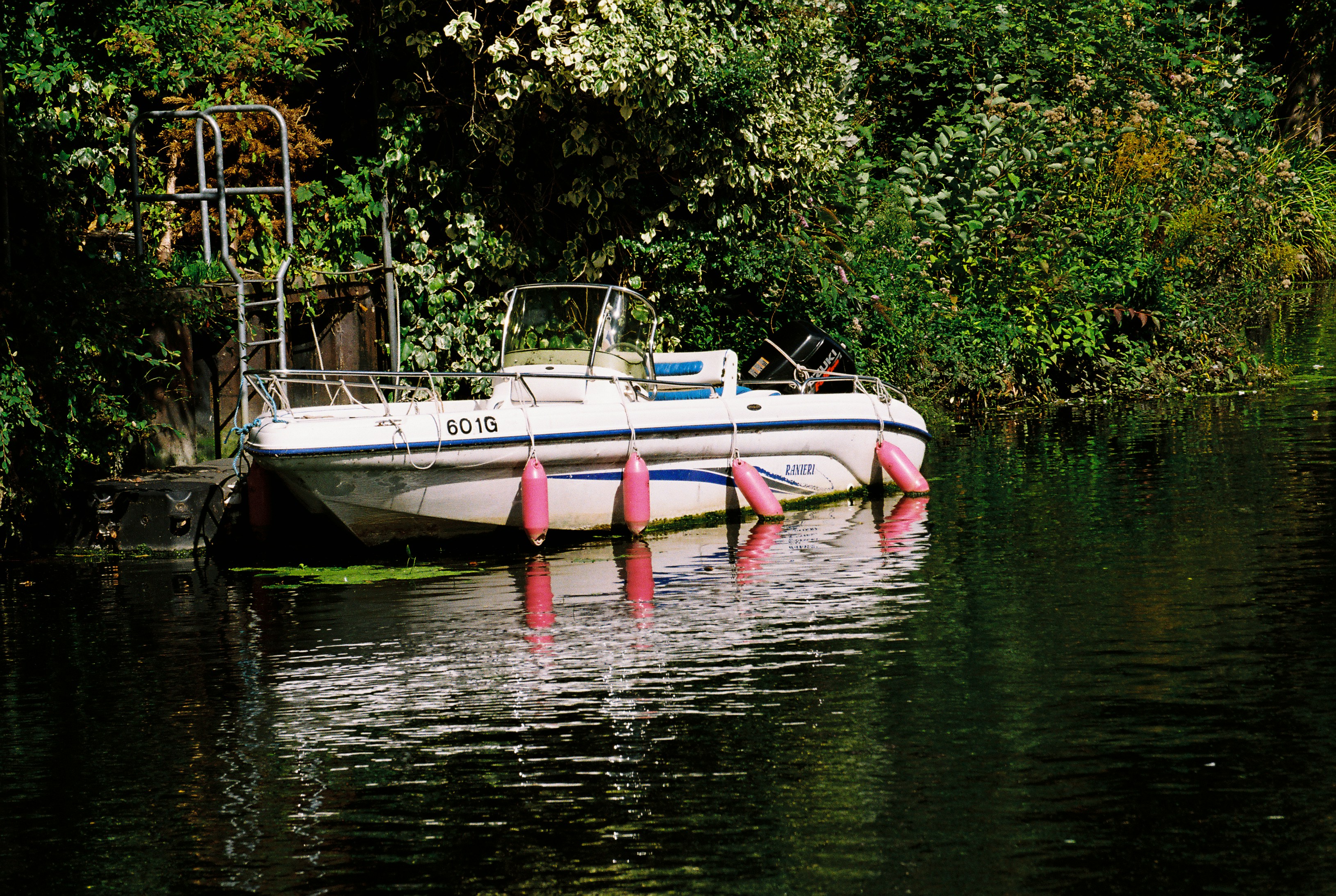 Docked at the Quiet Edge: A Boat Portrait in Dappled Green