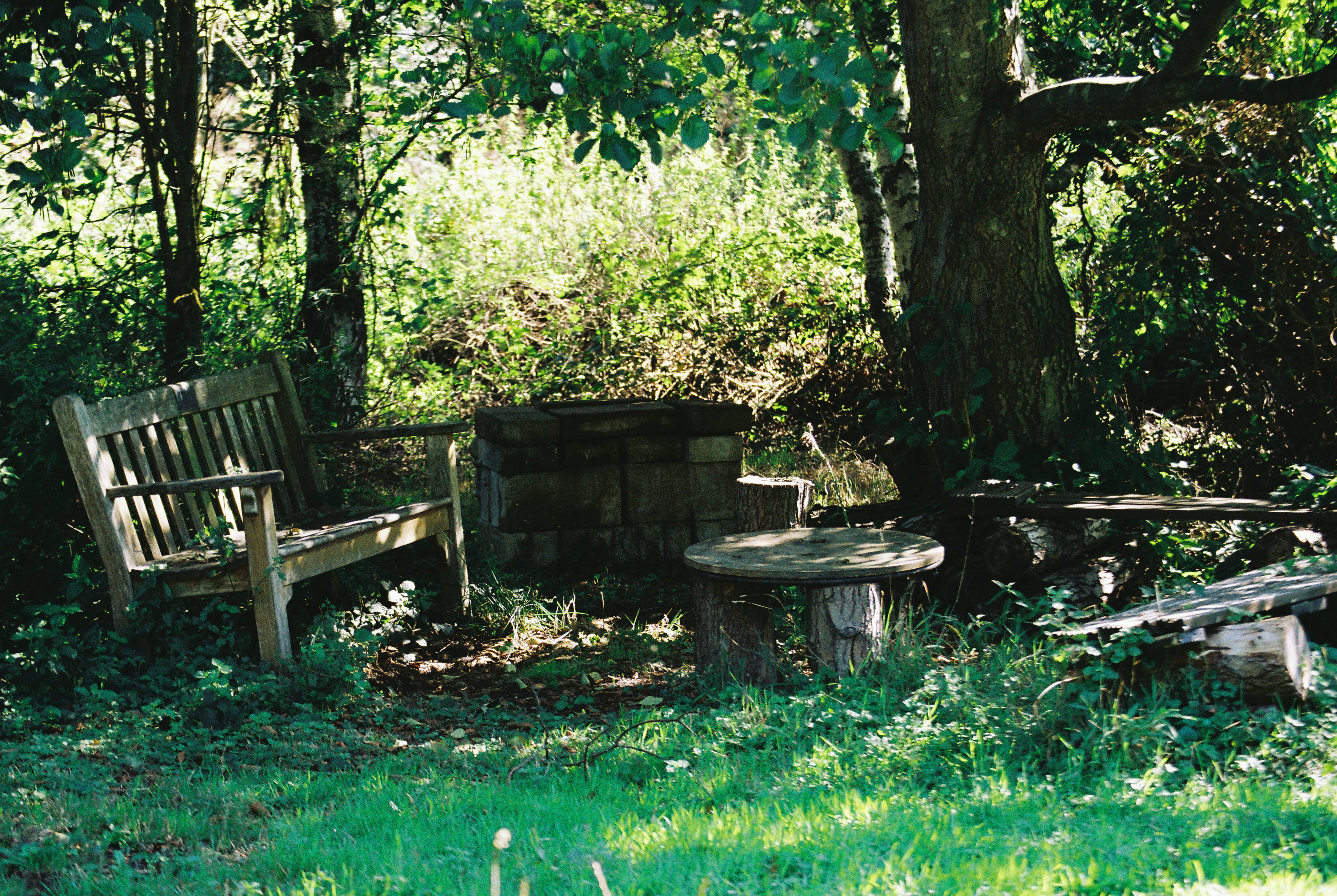 Forgotten Garden Seating Under Dappled Shade