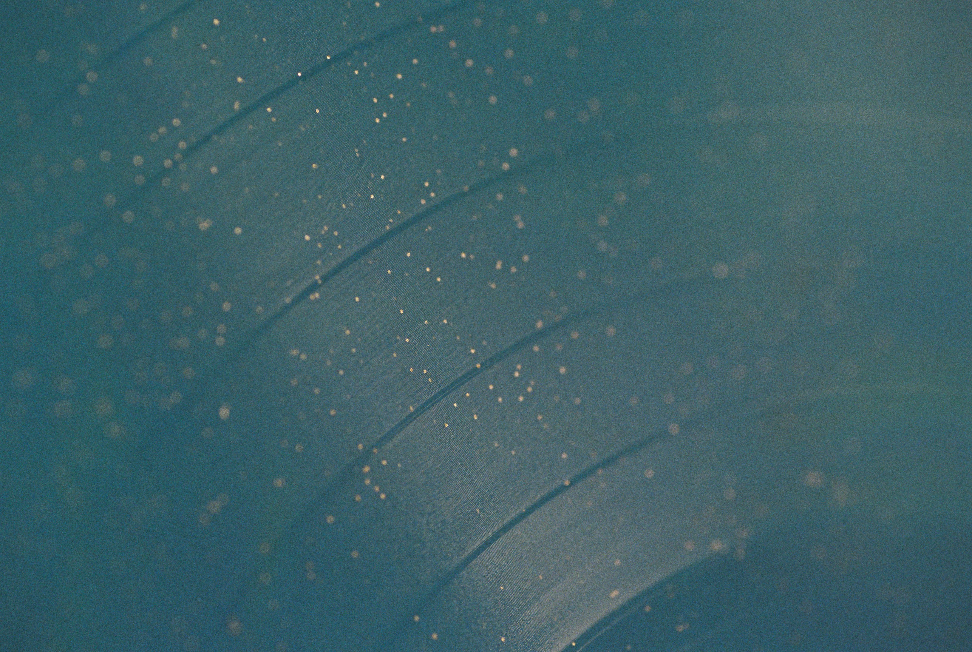 Close-up of a blue-green, circular micro-texture with fine concentric rings and scattered bright specks, suggesting a macro shot of a polished surface or lens element.