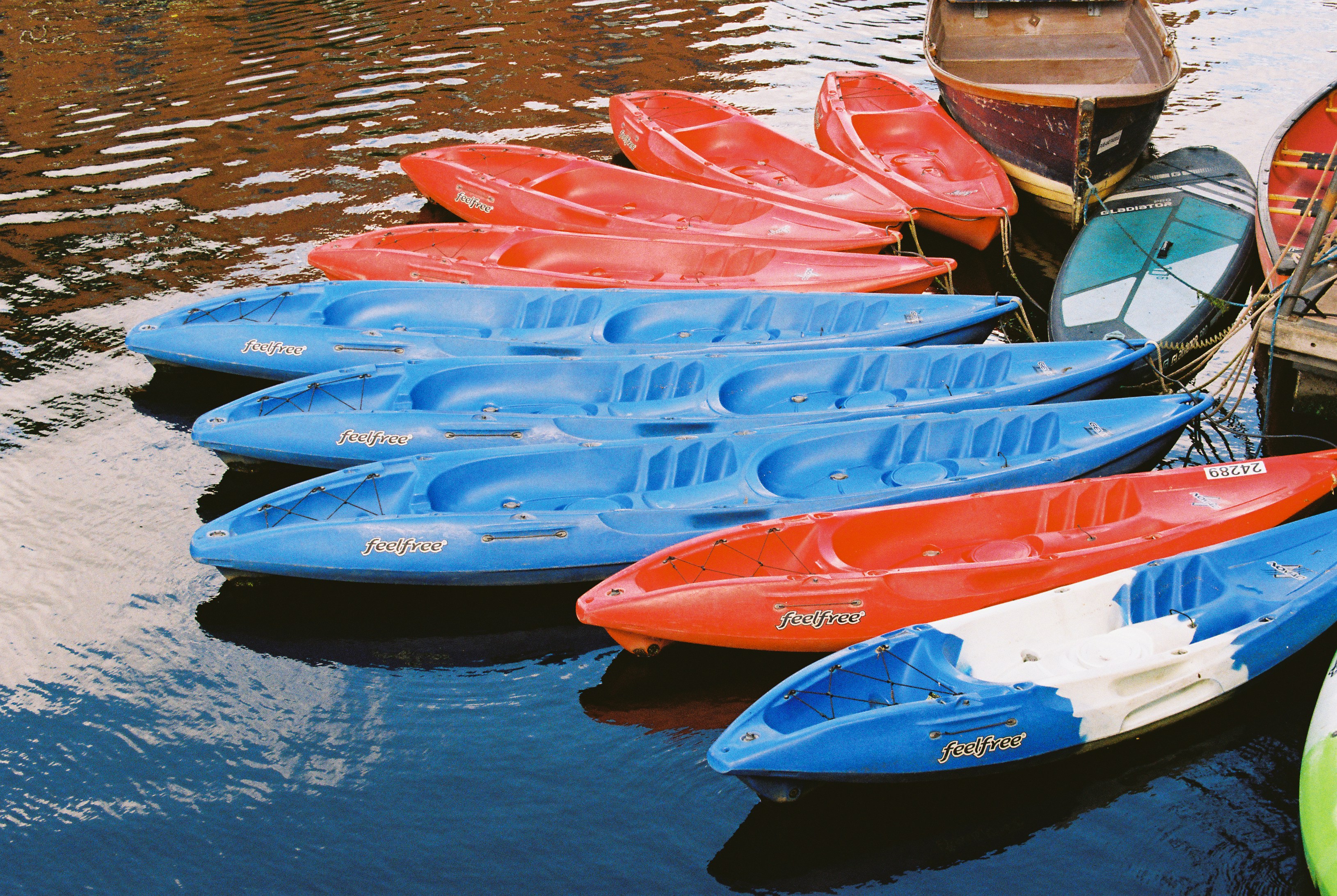 Row of Vivid Kayaks Anchored in Calm Water