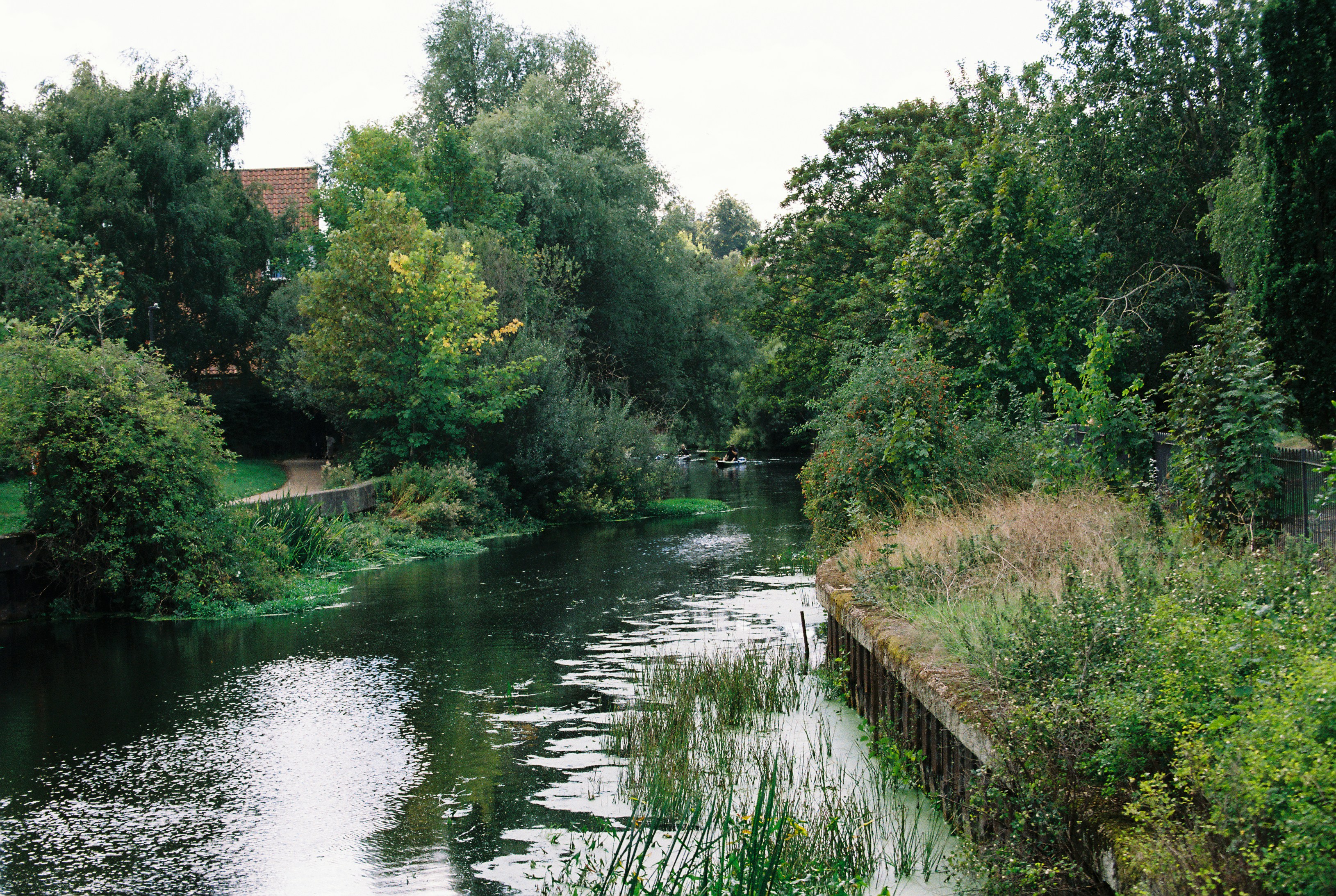 Serene Riverside Channel Bordered by Verdant Grown Banks