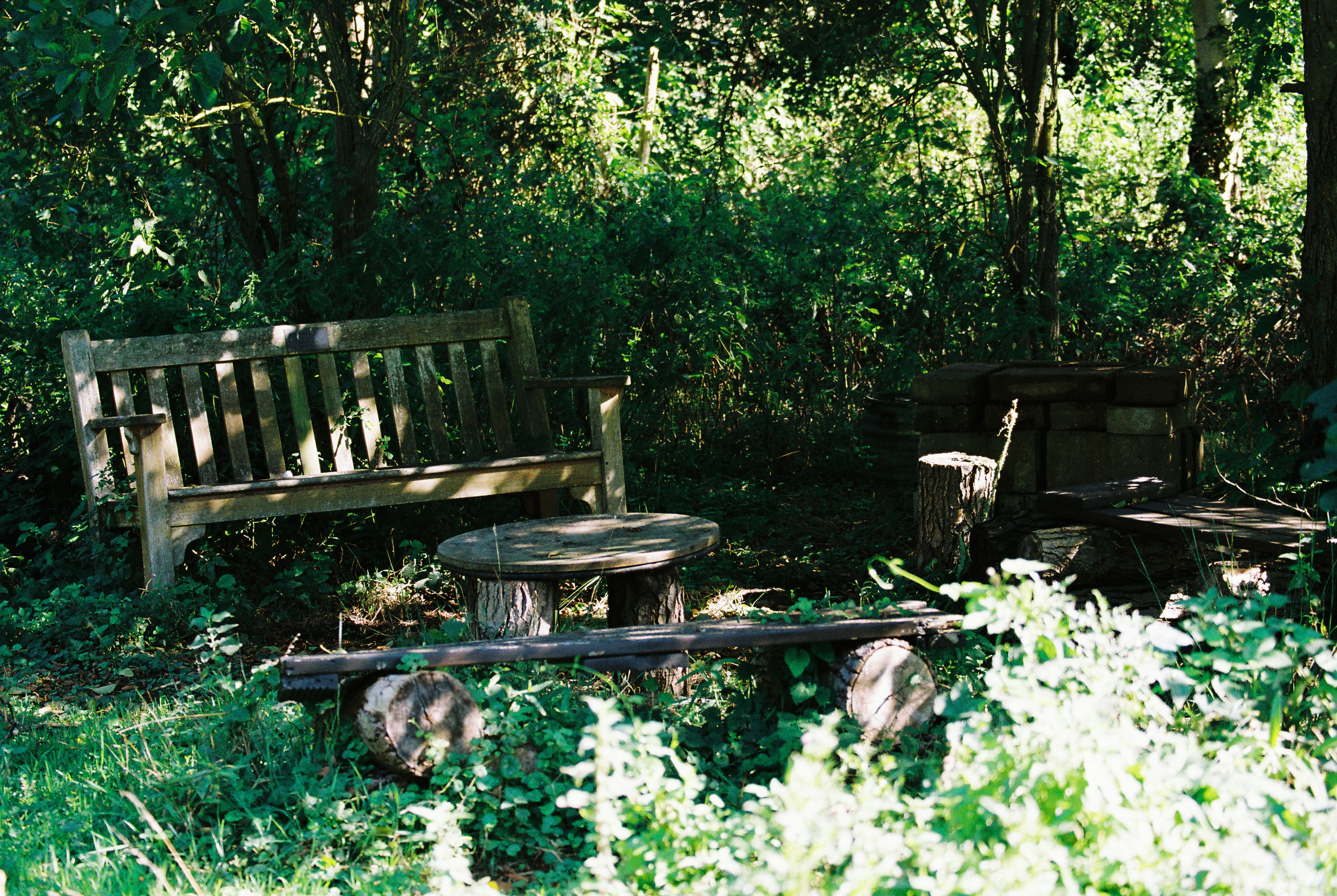 Quiet Garden Orbits: Weathered Log Bench under a Canopy