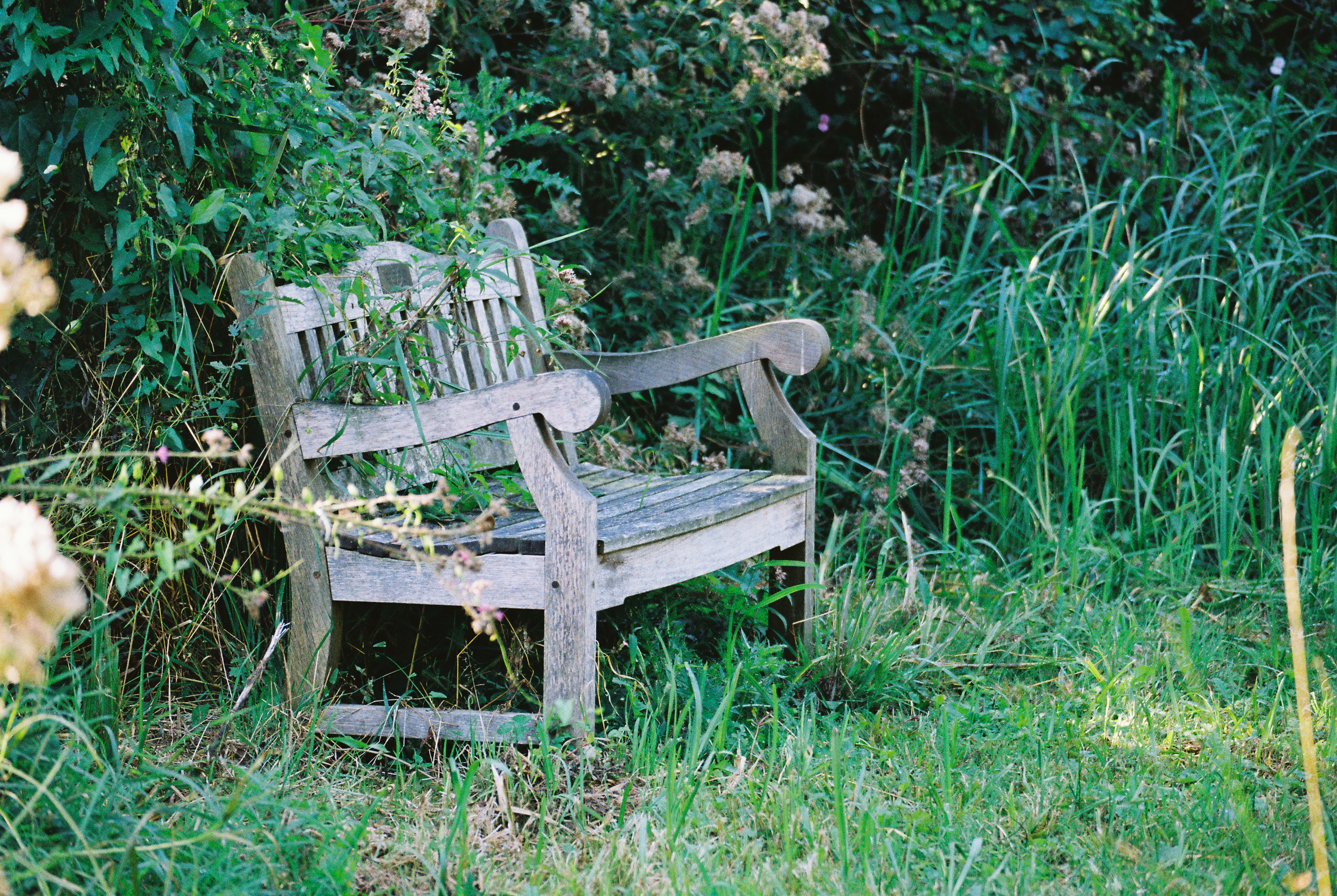 Weathered Garden Seat Quietly Bound by Morning Grass