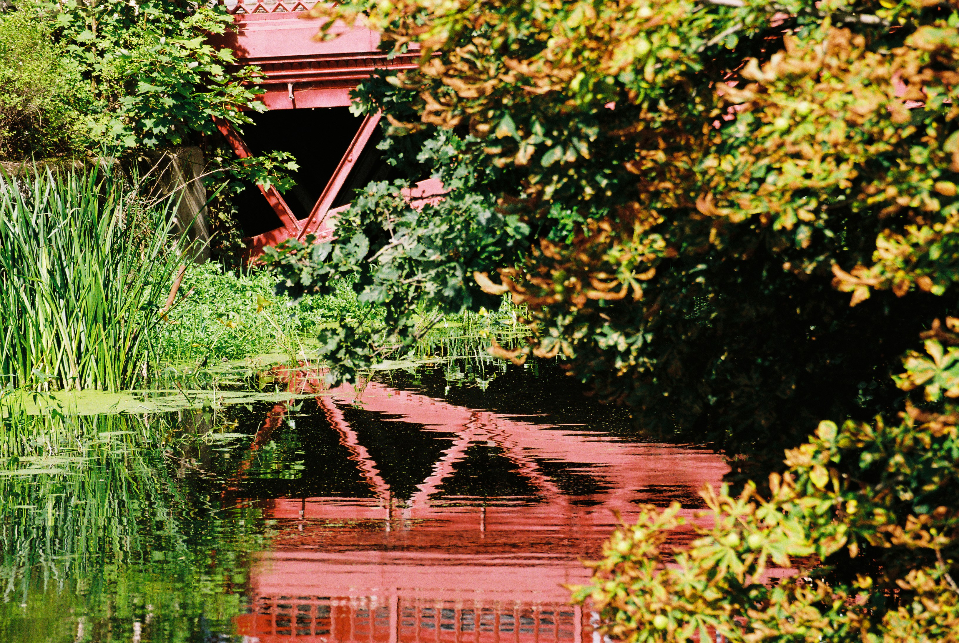 Reflections by the Water: A Quiet Riverside Scene