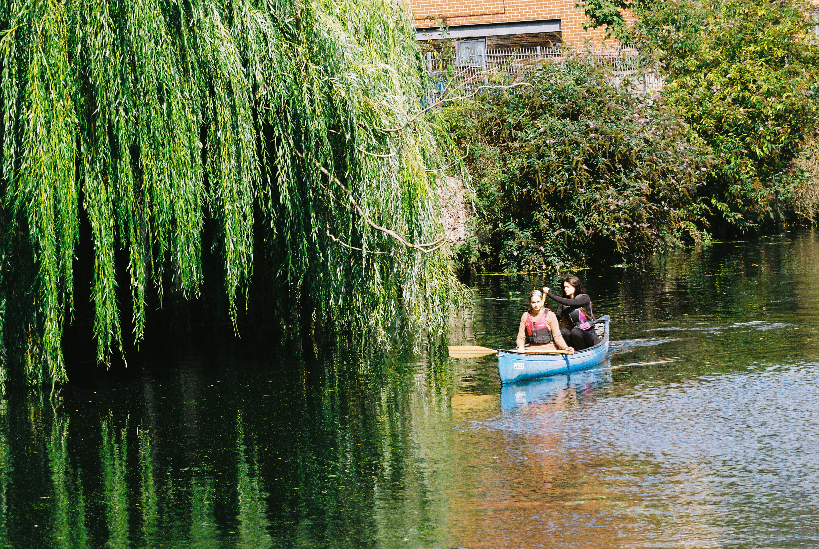 Two paddlers navigate a calm riverside in a robin-egg blue canoe
