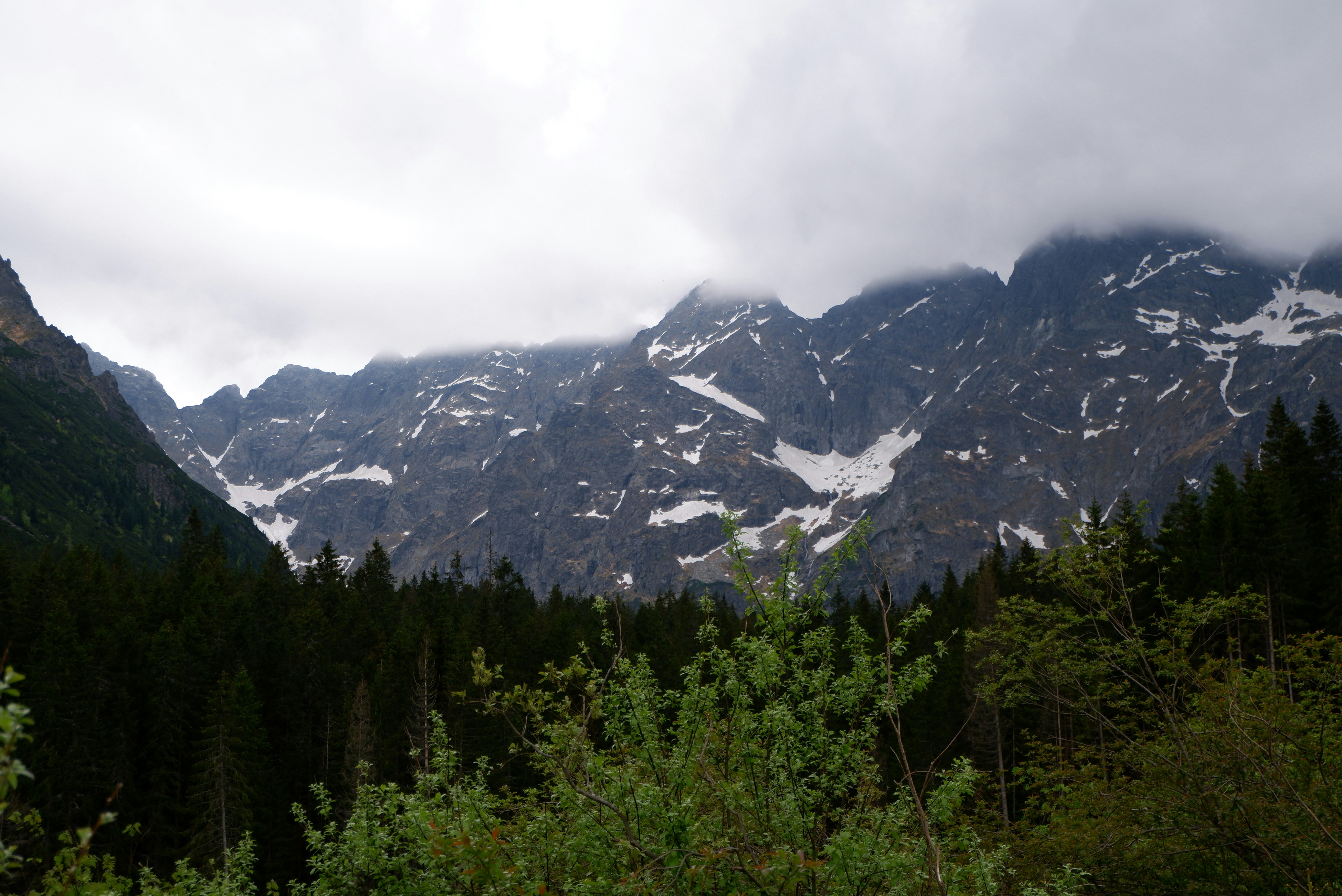 Snow-veiled Peaks Emerging from a Forested Foothill