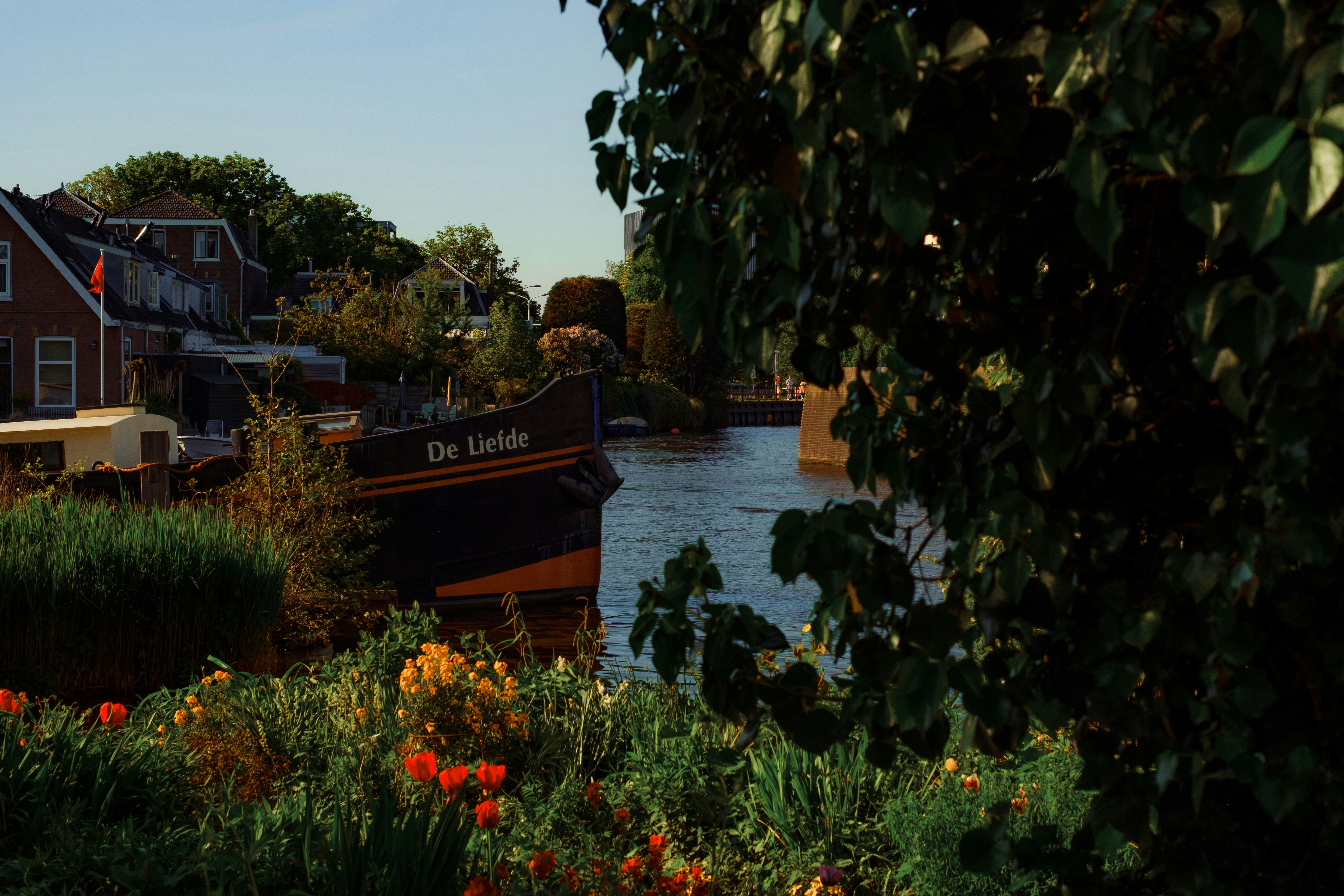 Footpath of Colorful Blooms by the Canal