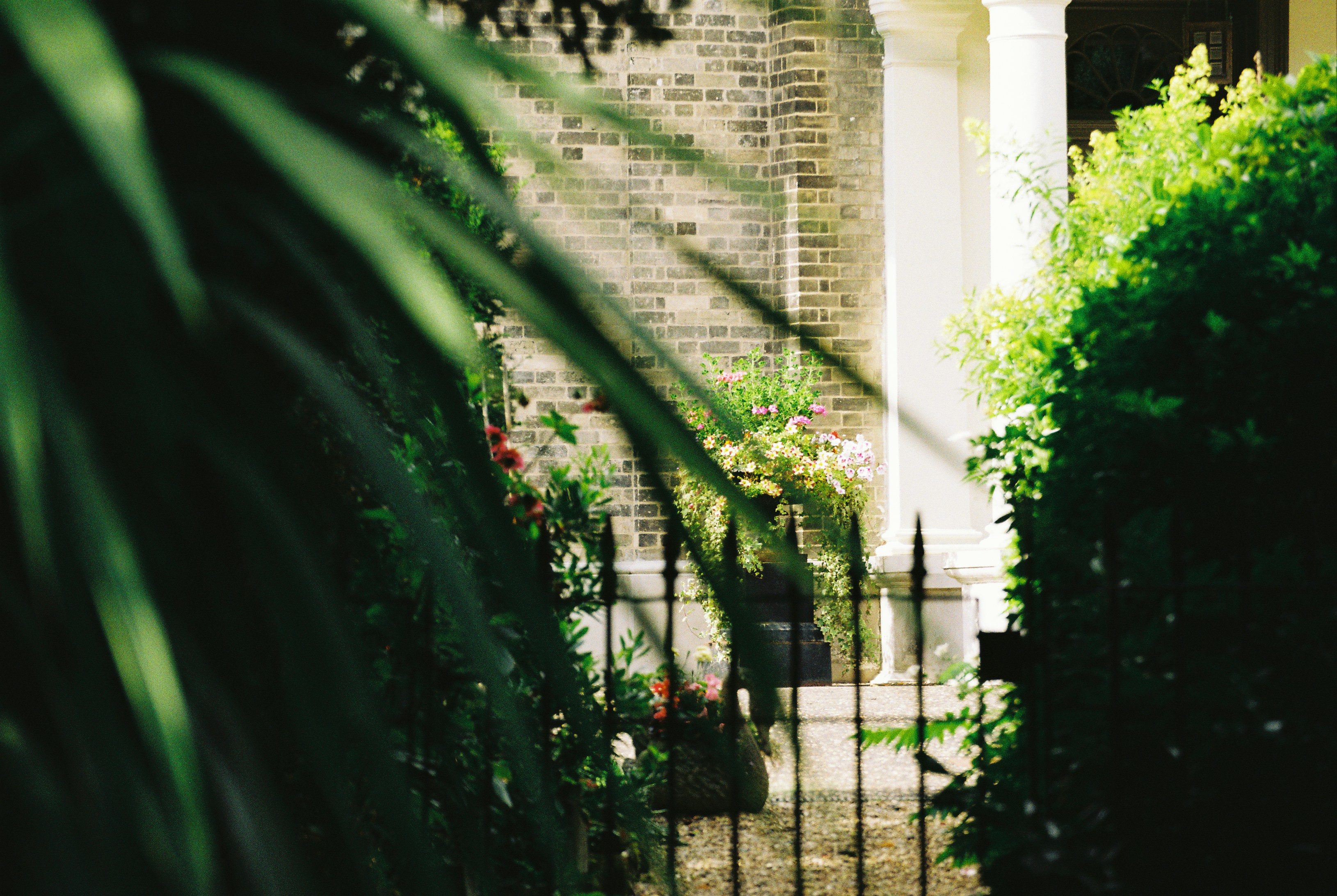 A small, shadowed garden path with a wrought-iron gate partially obscured by lush greenery and a stone wall in the background. The scene emphasizes selective framing through foliage, suggesting a private, tranquil entrance. The image appears as a naturalistic photograph.
