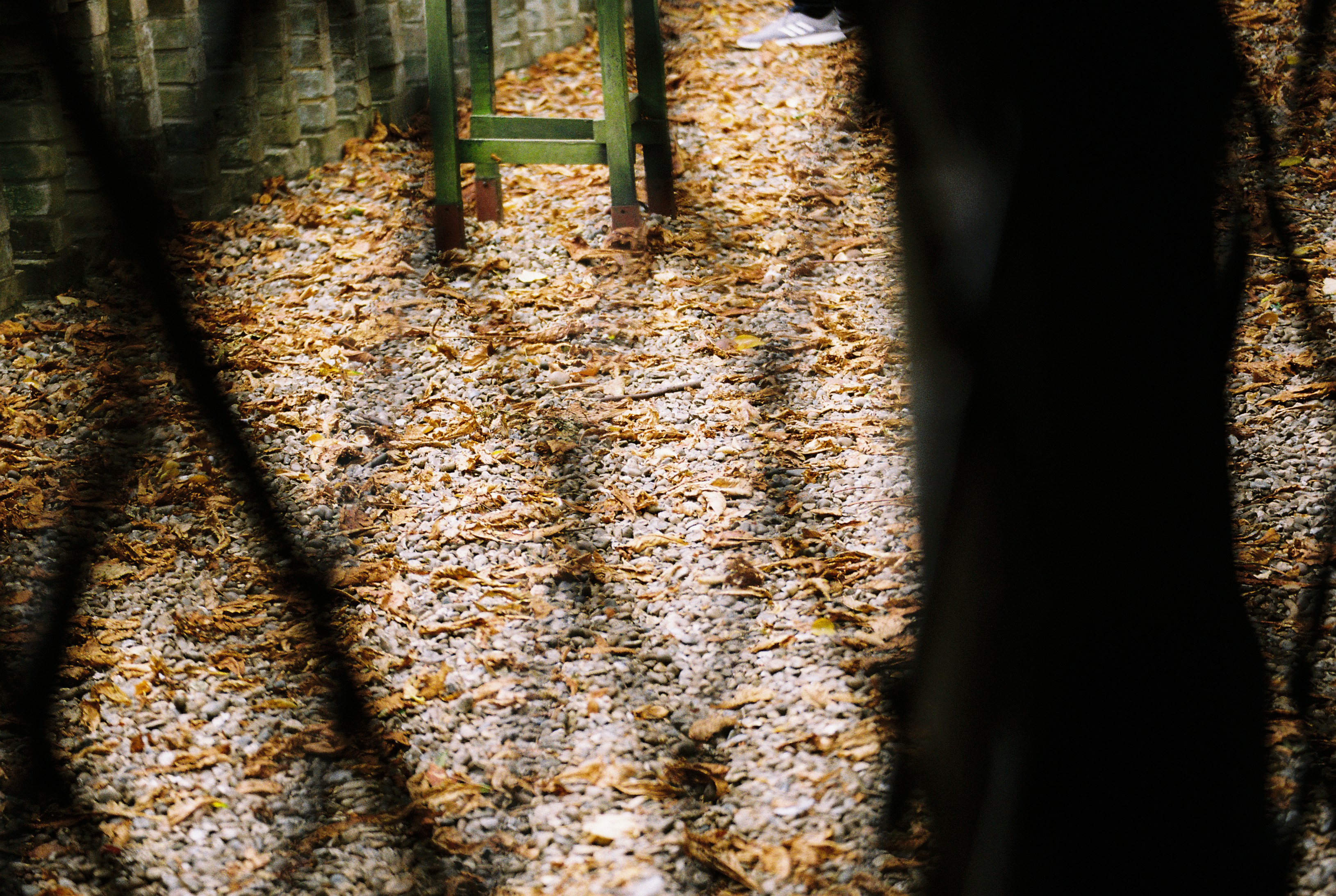 Autumn leaves blanket the ground beneath a dim play-set, with blurred dark silhouettes in the foreground creating a moody, contemplative scene.