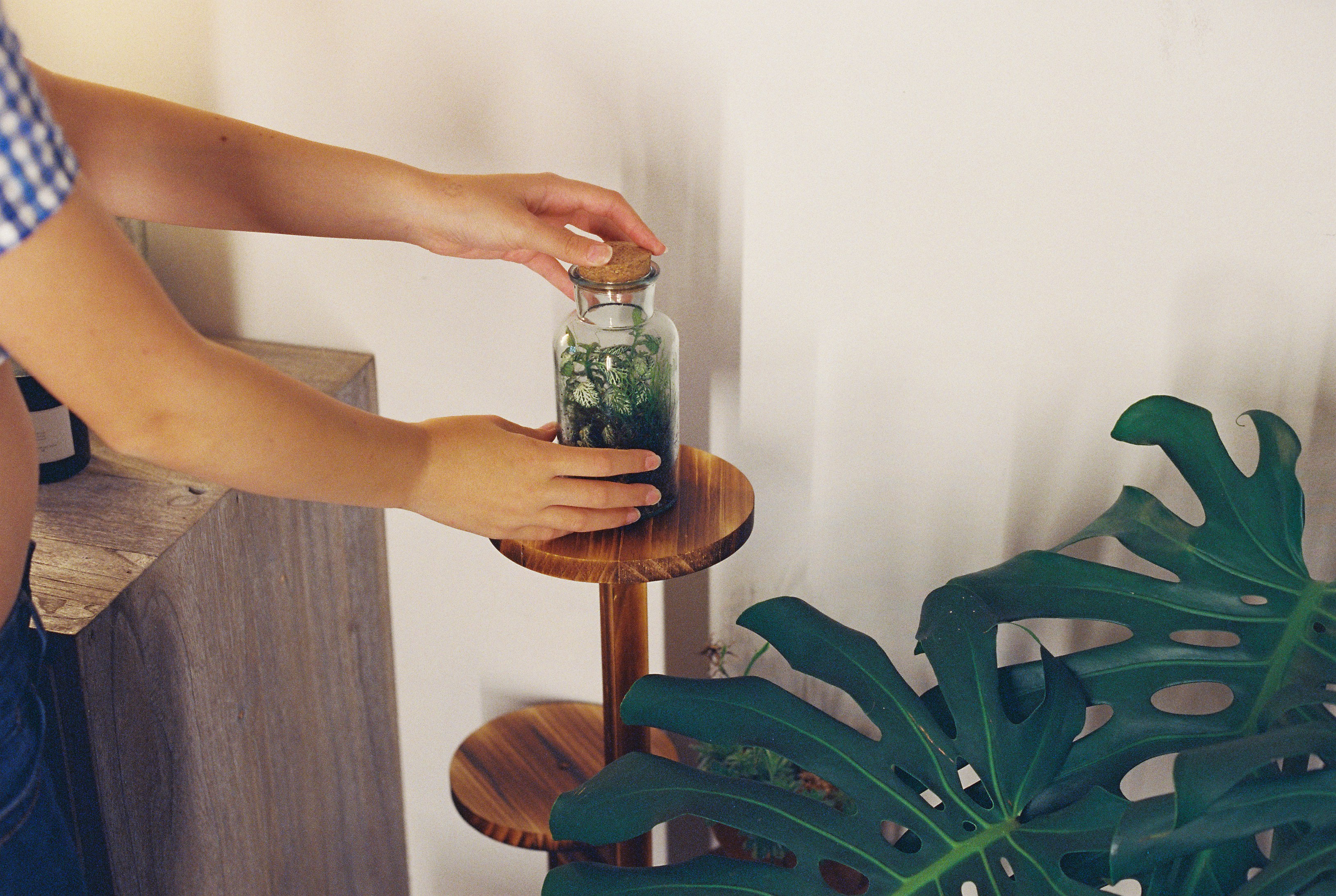 Handful of Green: Delicate Plant Jar in a Minimalist Corner