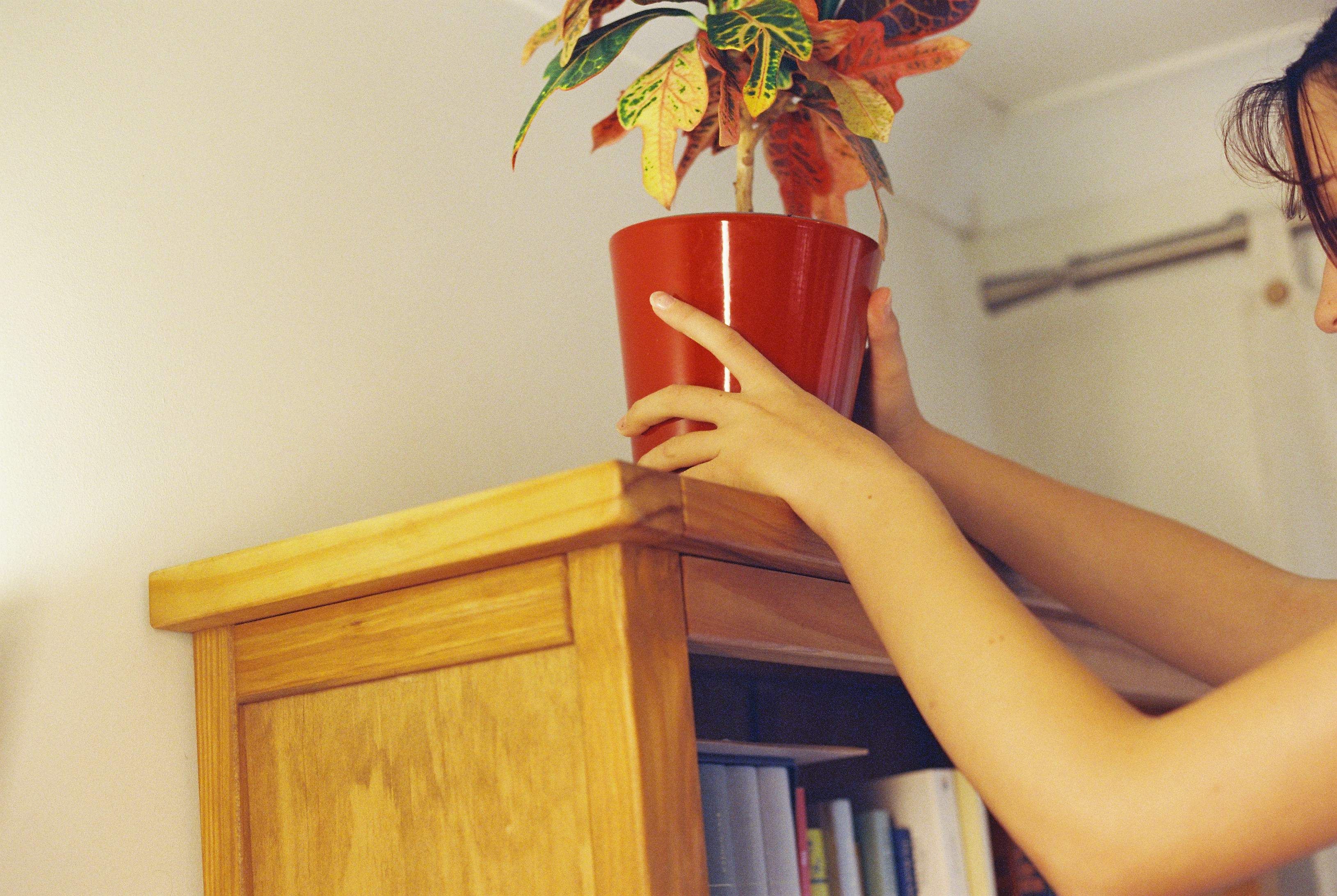 Two hands reach to adjust a red plant pot on top of a wooden cabinet, with a glimpse of books on a shelf behind. A warm indoor scene focusing on the action of placement.