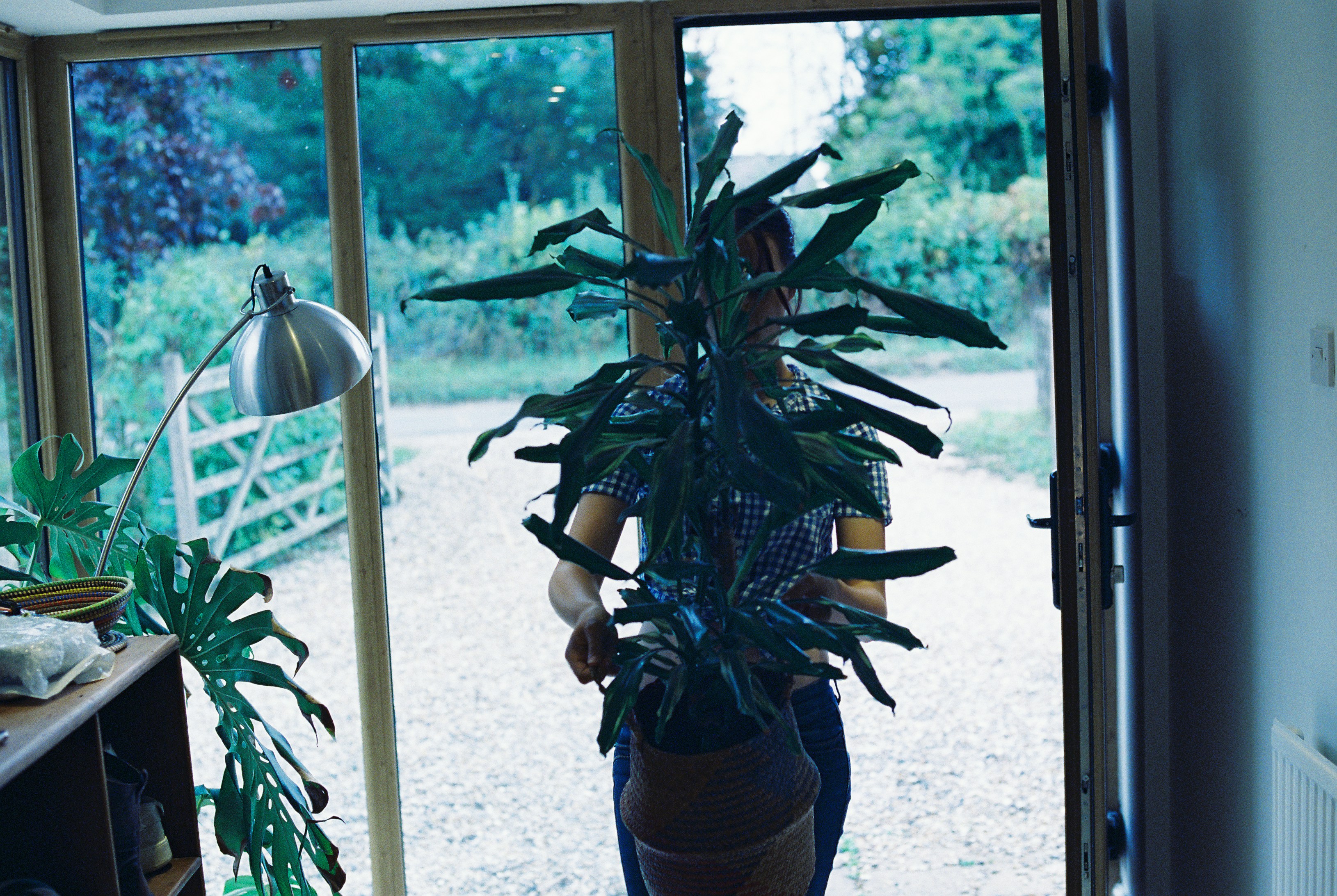 A person partially obscured by a large potted plant stands in a bright doorway, with interior plants and a desk visible inside.