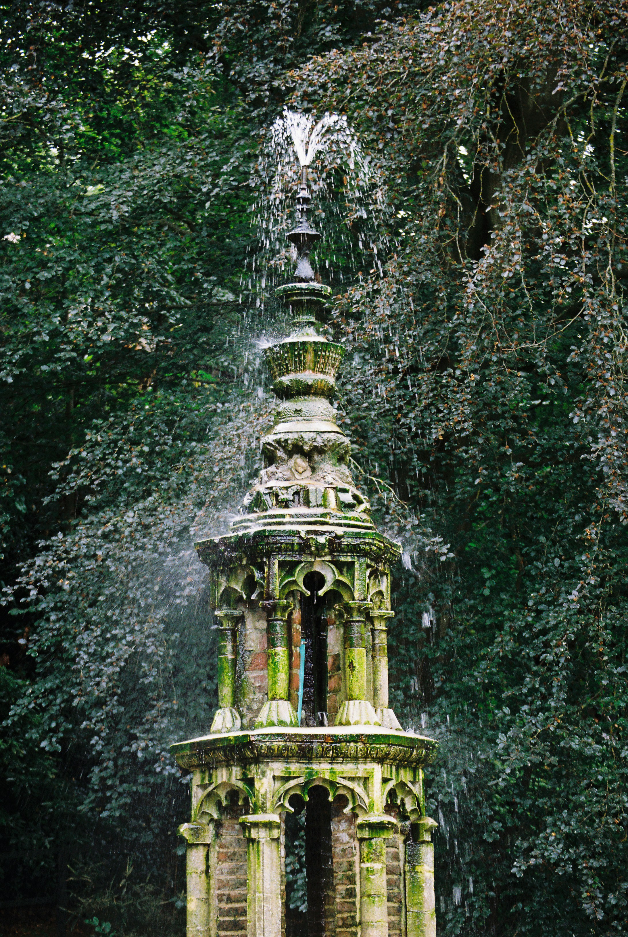 Water spills from the tiers of a lichen-covered stone fountain set against a dark curtain of copper beech leaves.