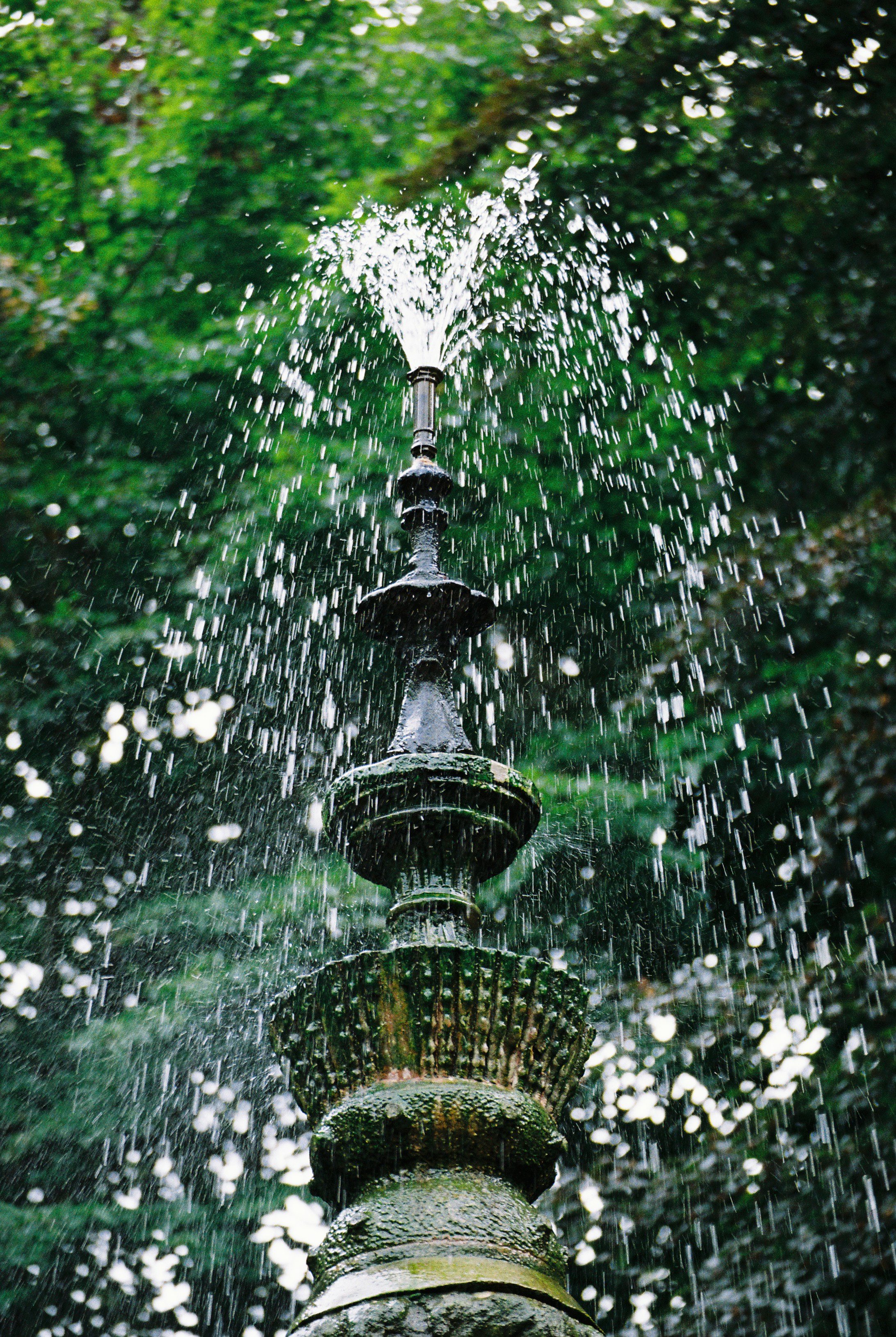A multi-tiered stone fountain erupts with water droplets spraying outward, framed by lush greenery in the background.