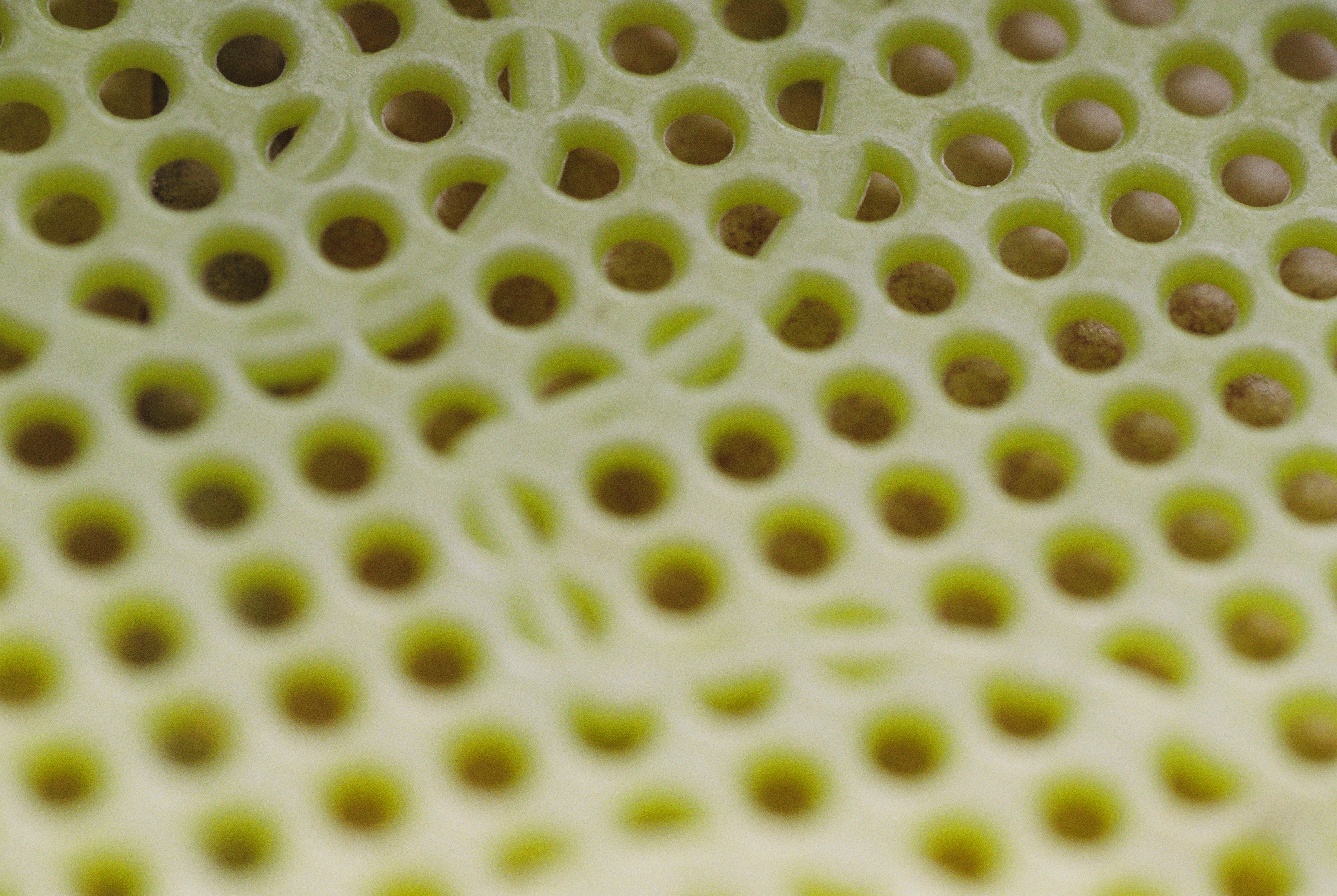 Close-up of a perforated pale surface with circular holes, revealing a shallow depth of field and a soft green-yellow hue. A textured pattern dominated by repeated round openings.