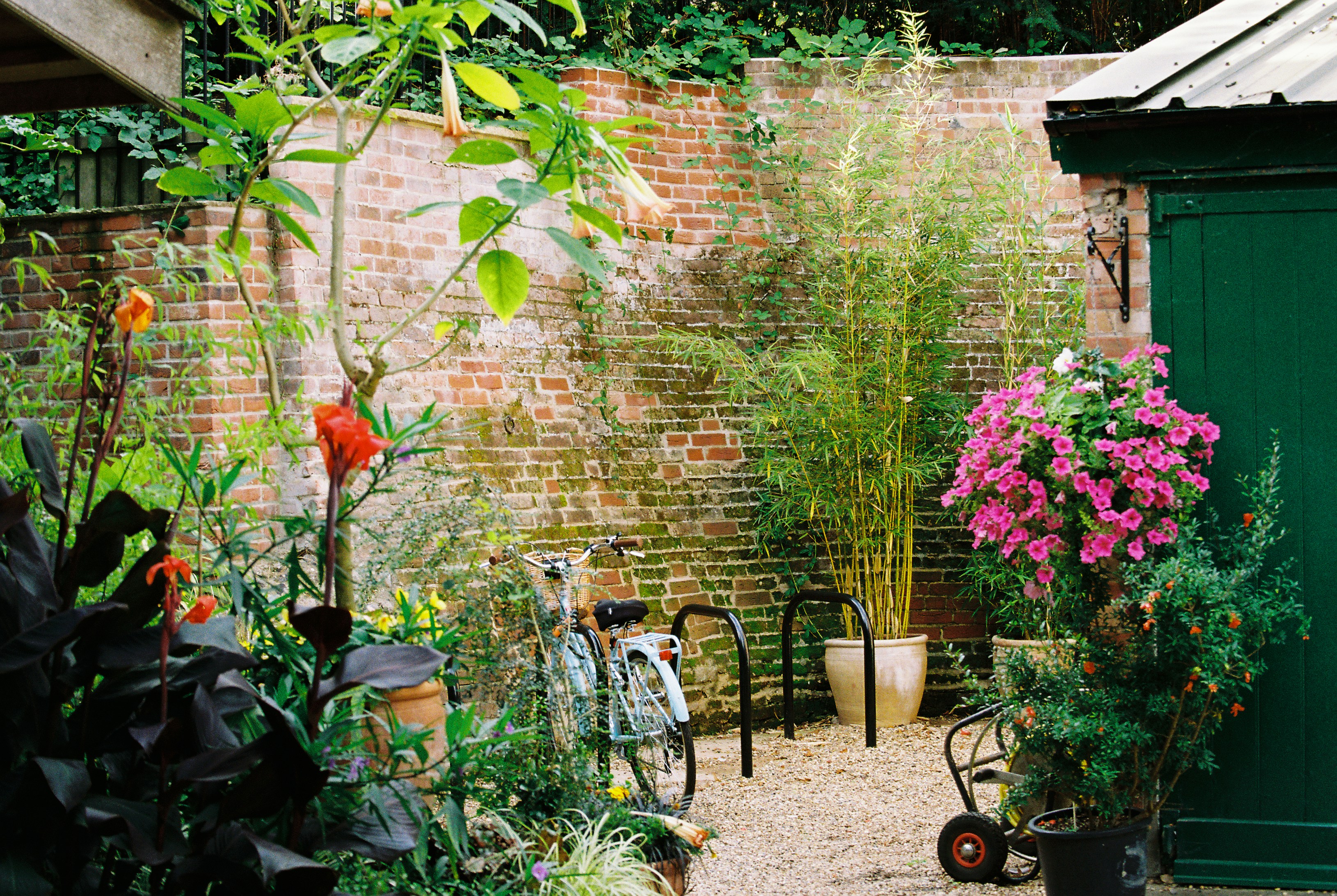 Lush garden nook with potted plants, a brick wall backdrop, and a small wagon wheel in a sunlit courtyard.