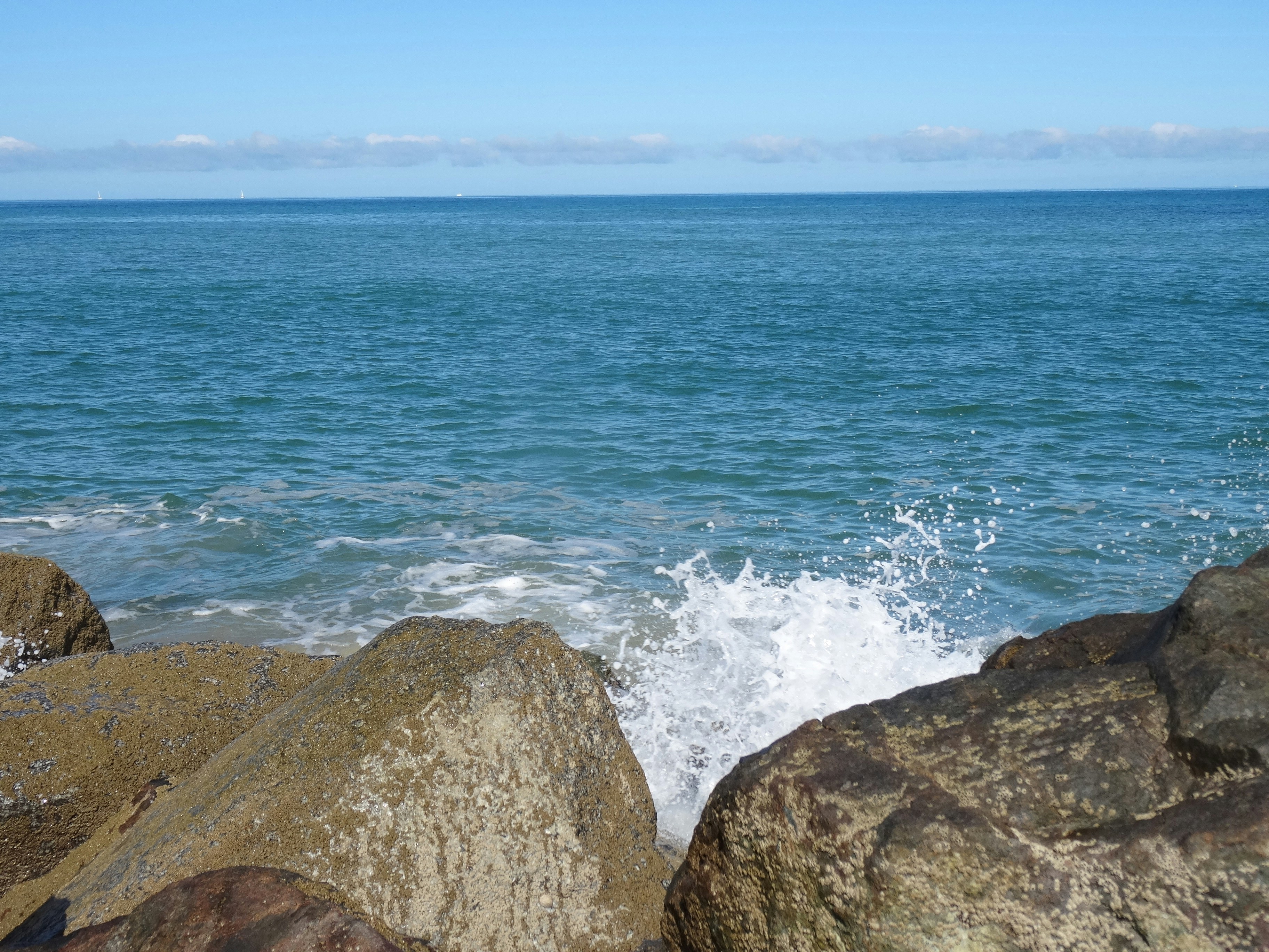 Rugged Foreshore meeting a calm blue horizon