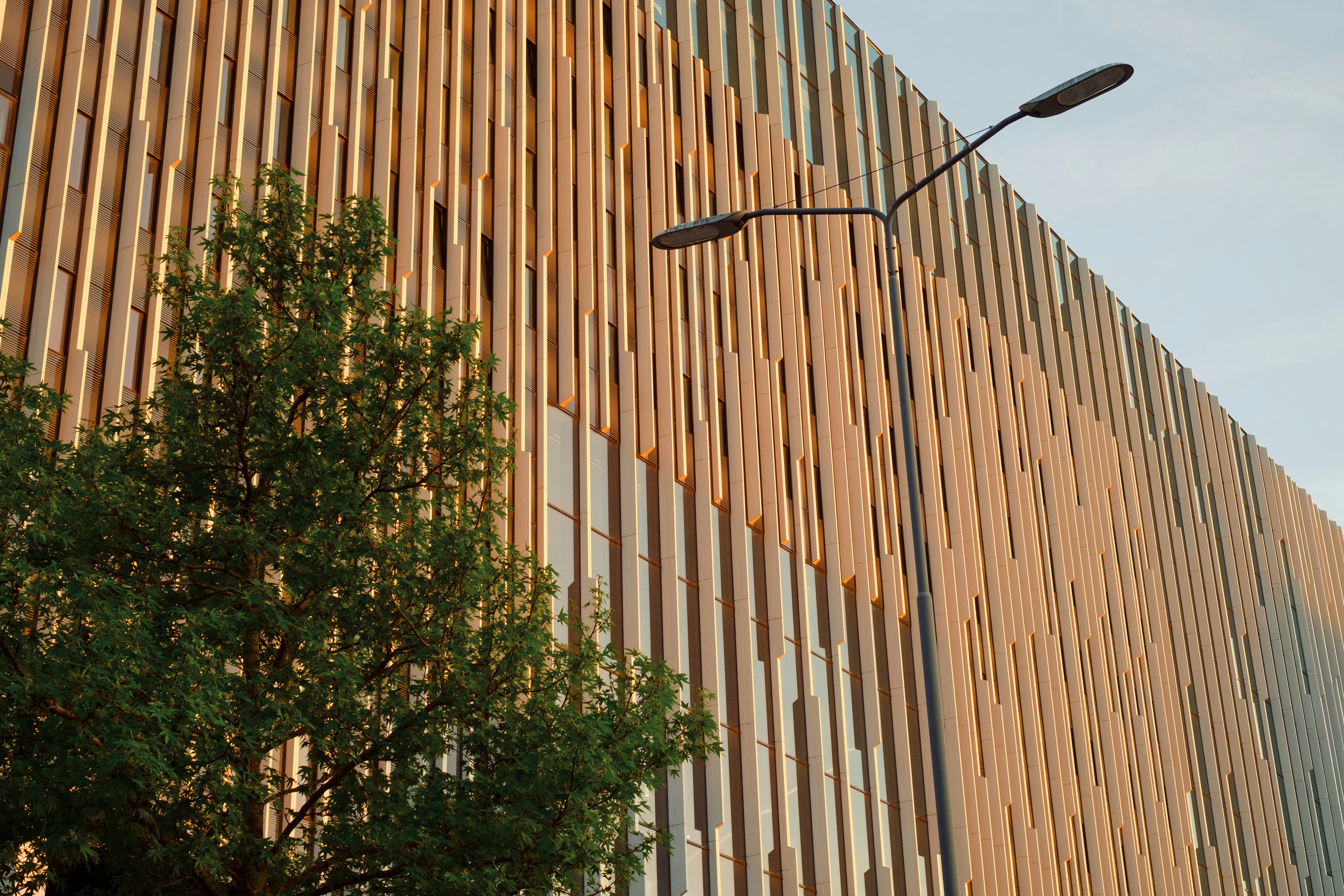 Street-level view of a modern building with vertical wooden slats catching late-day sunlight, a leafy tree in the foreground, and a street lamp recalling urban rhythm.