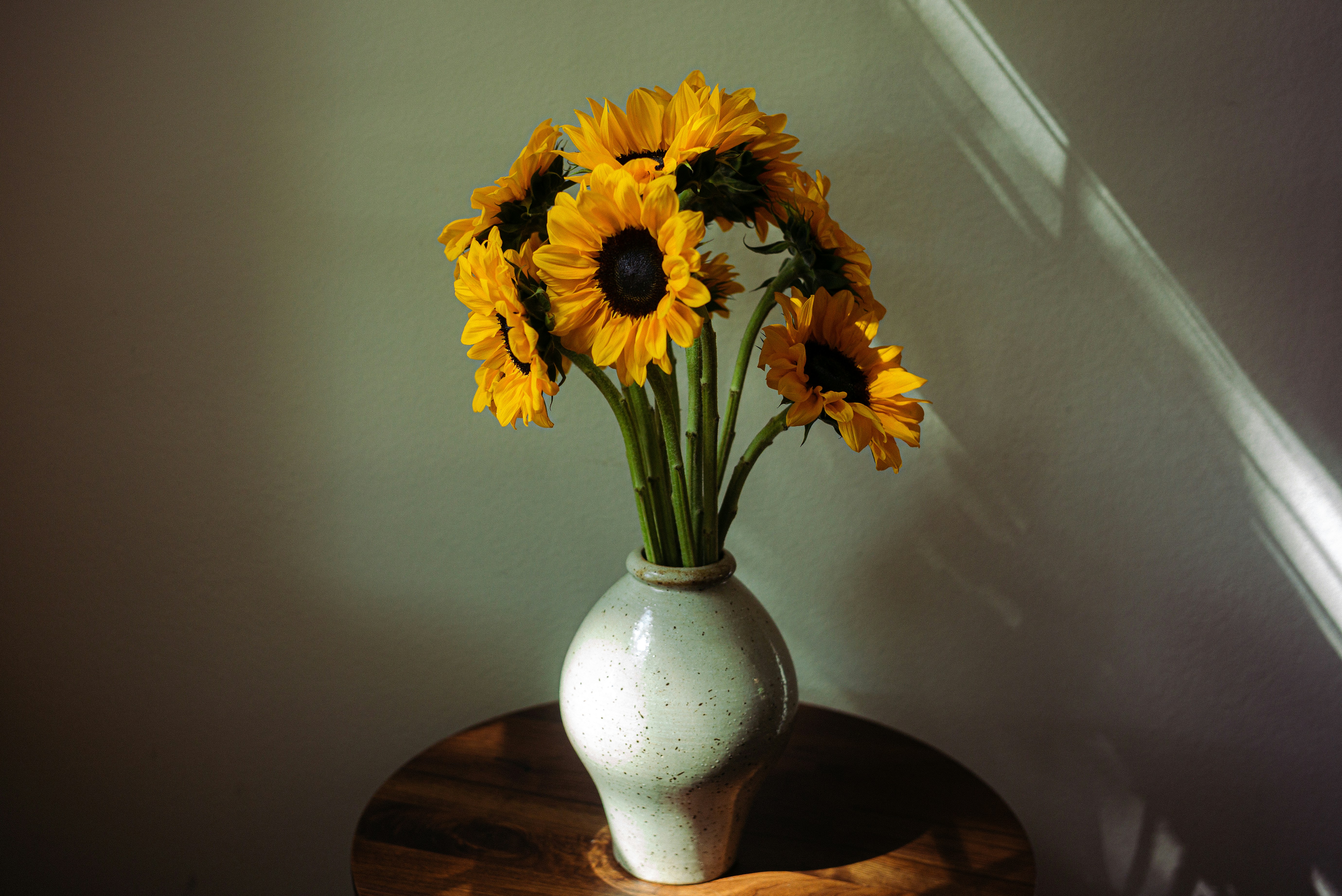 Sunlit Sunflowers in a Pale Vase on a Wooden Pedestal